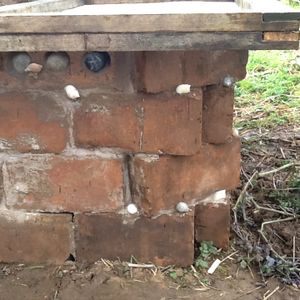 Heliciculture - Snail Farm Vivarium : 7 Steps (with Pictures ...