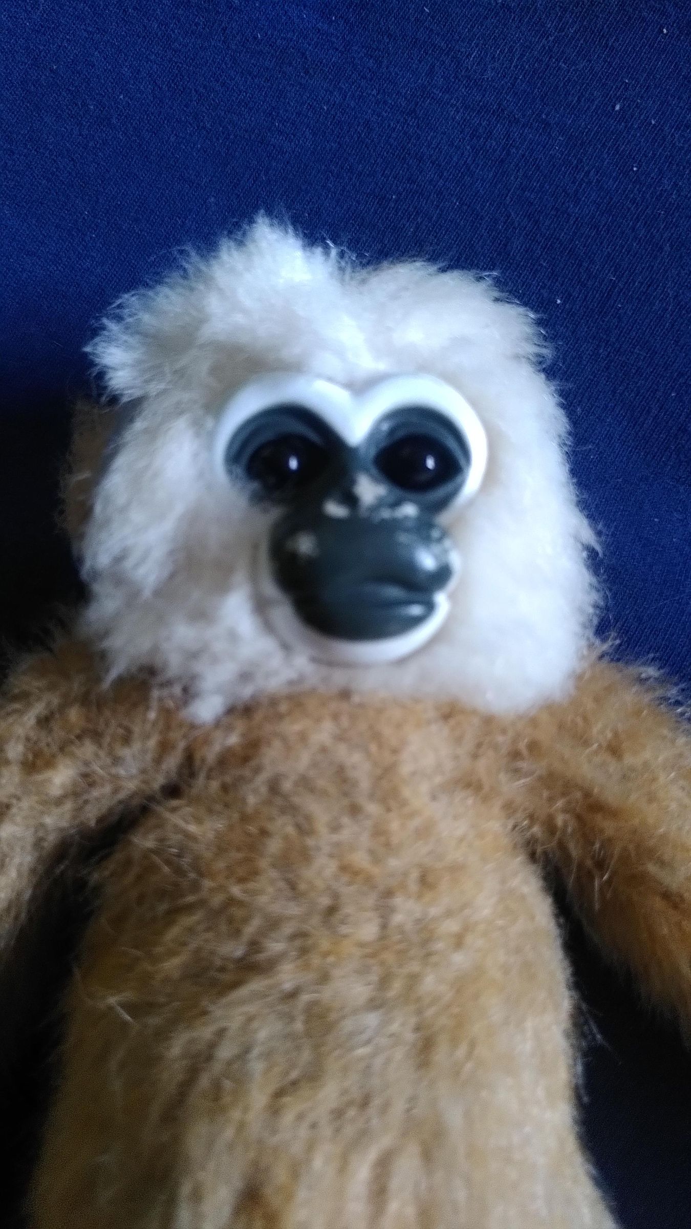 Project ITTT: Cursed Monkey Cyborg : 6 Steps - Instructables