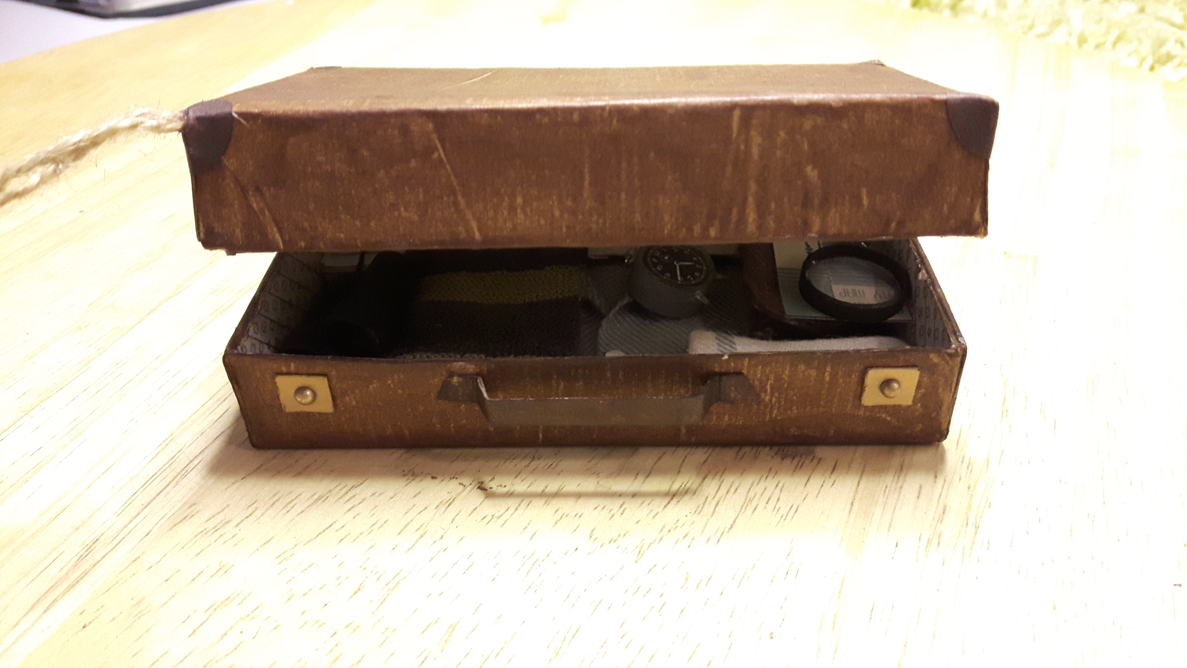 Miniature Newt Scamander's Suitcase (Fantastic Beasts and Where to Find ...