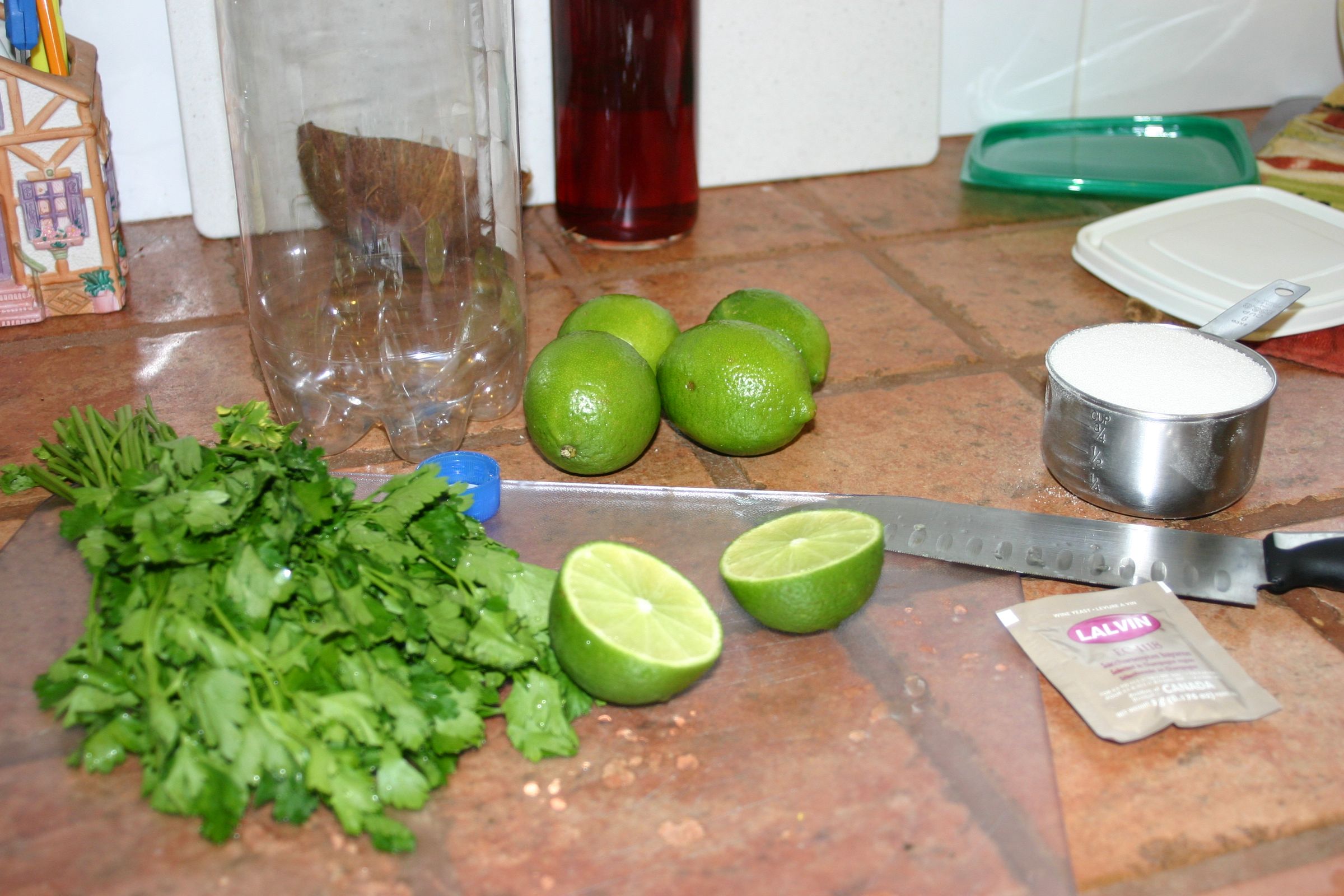 Parsley Soda: the Preferred Beverage of the Fashionable Elite : 5 Steps ...