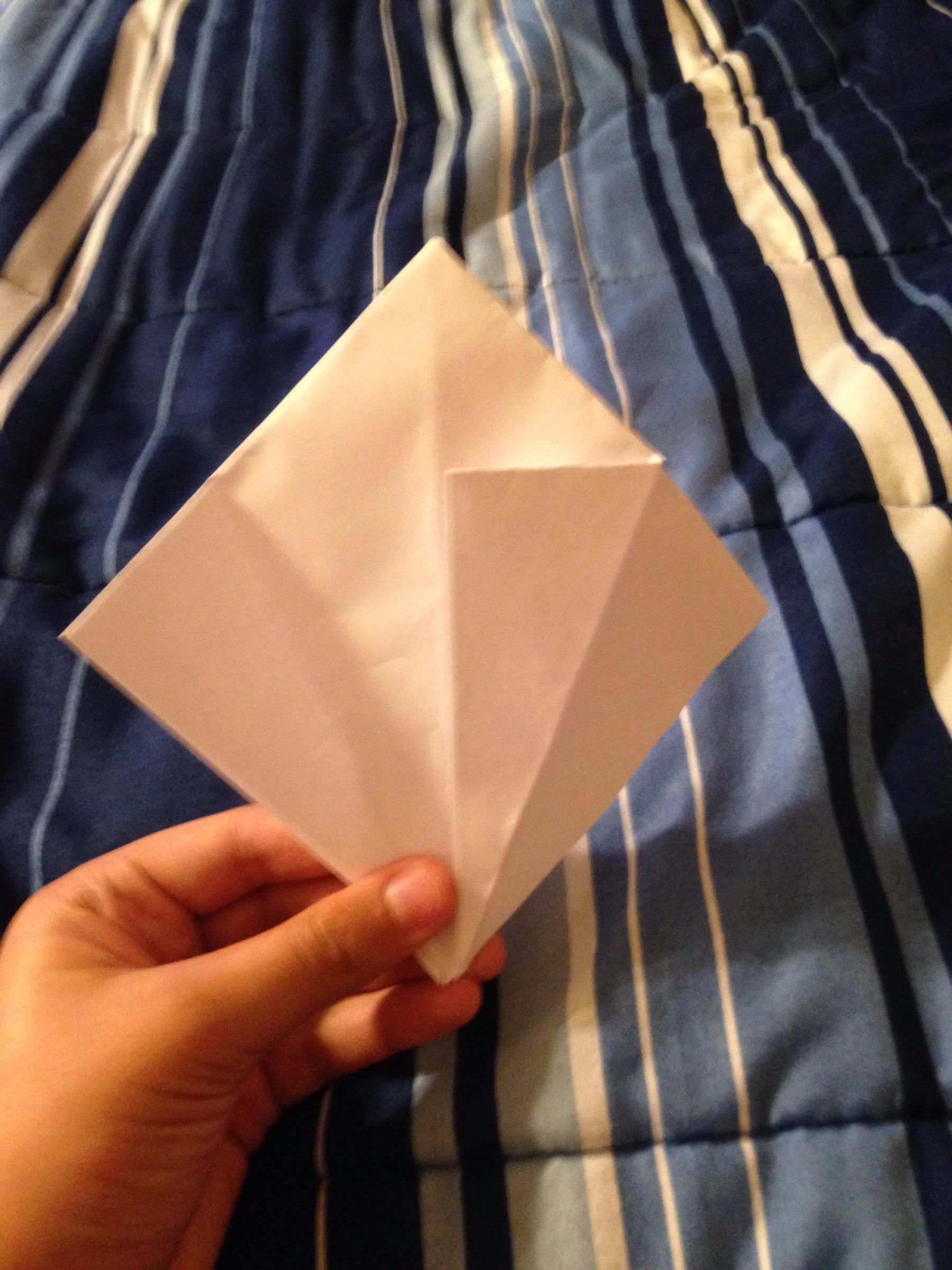 Origami Flapping Crane : 12 Steps - Instructables