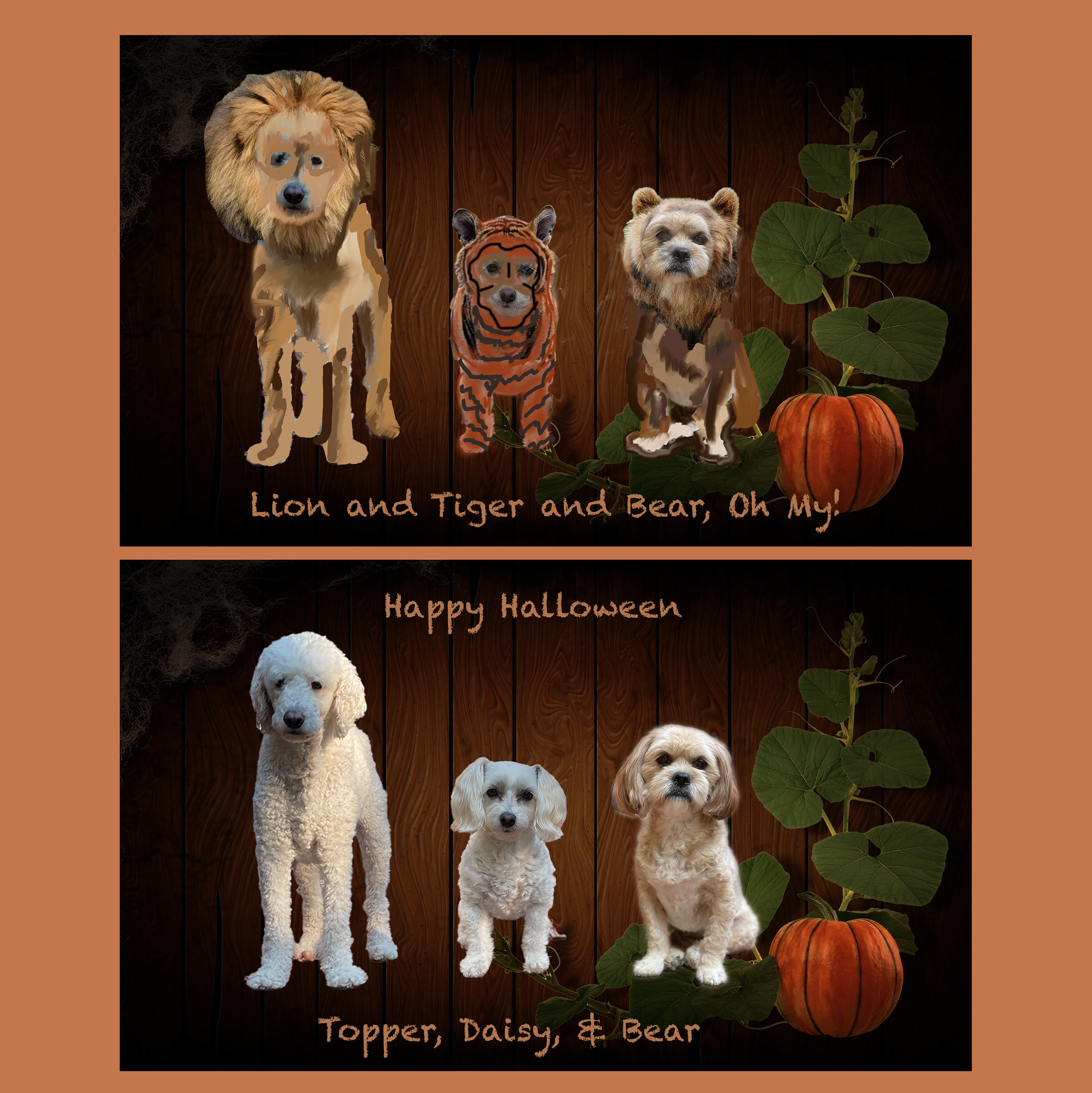 Virtual Halloween Costumes Using Adobe Photoshop : 10 Steps (with ...