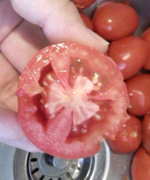 Cómo Preparar Las Semillas De Tomate Para Su Cultivo O Almacenamiento ...