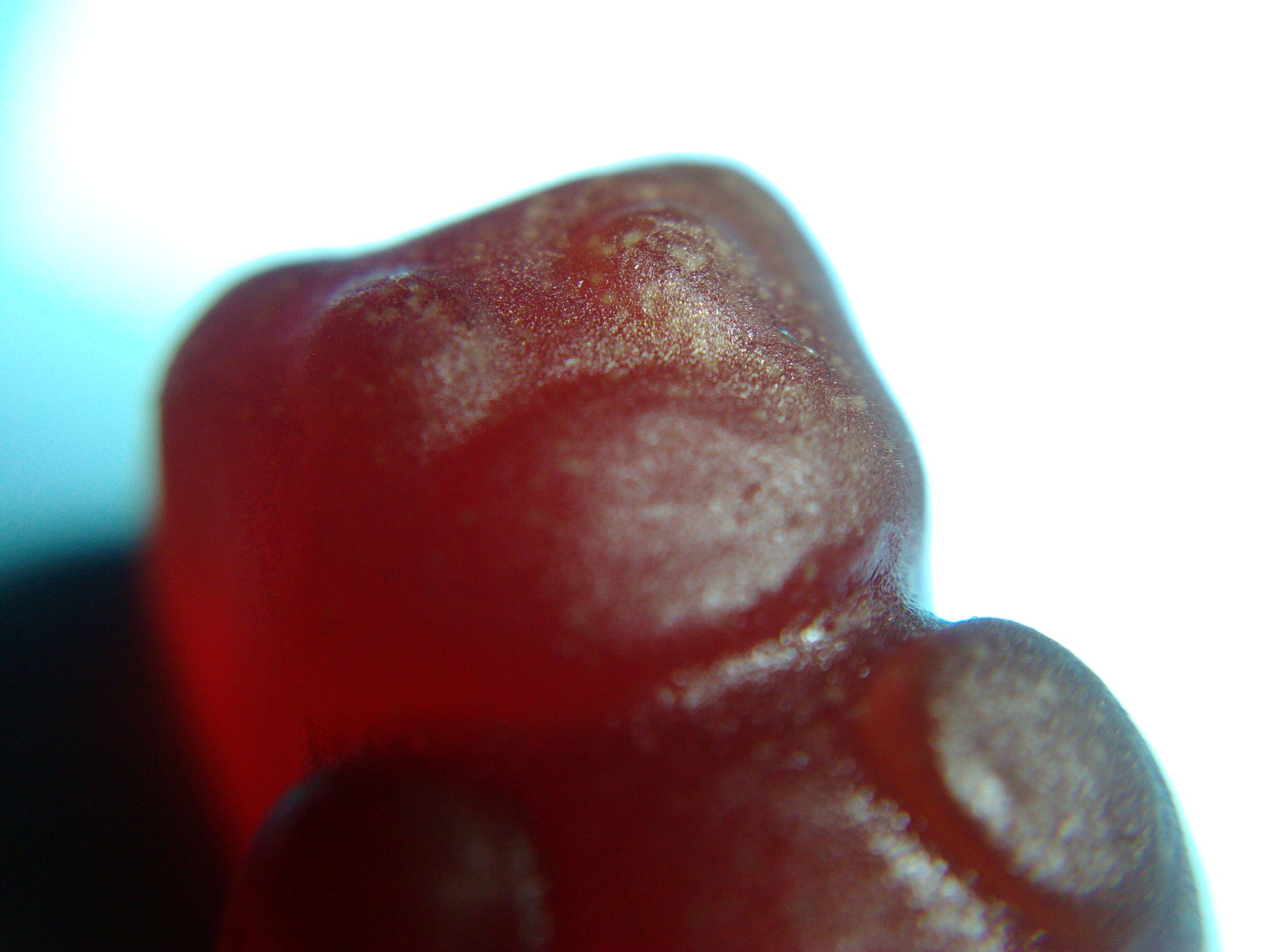 Quick and Easy Macro "attachment" : 4 Steps - Instructables