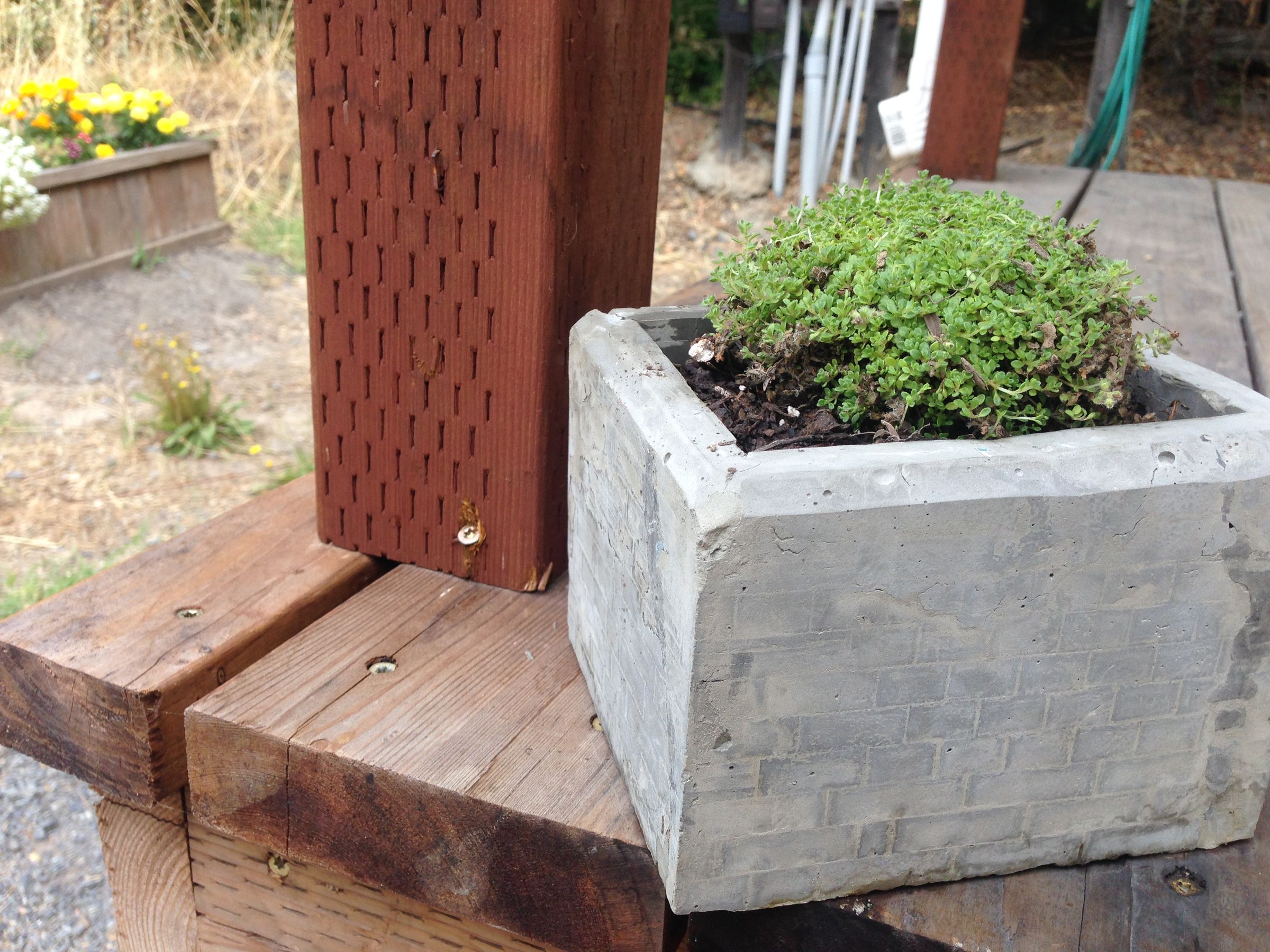 Concrete Pot for Plants : 13 Steps (with Pictures) - Instructables