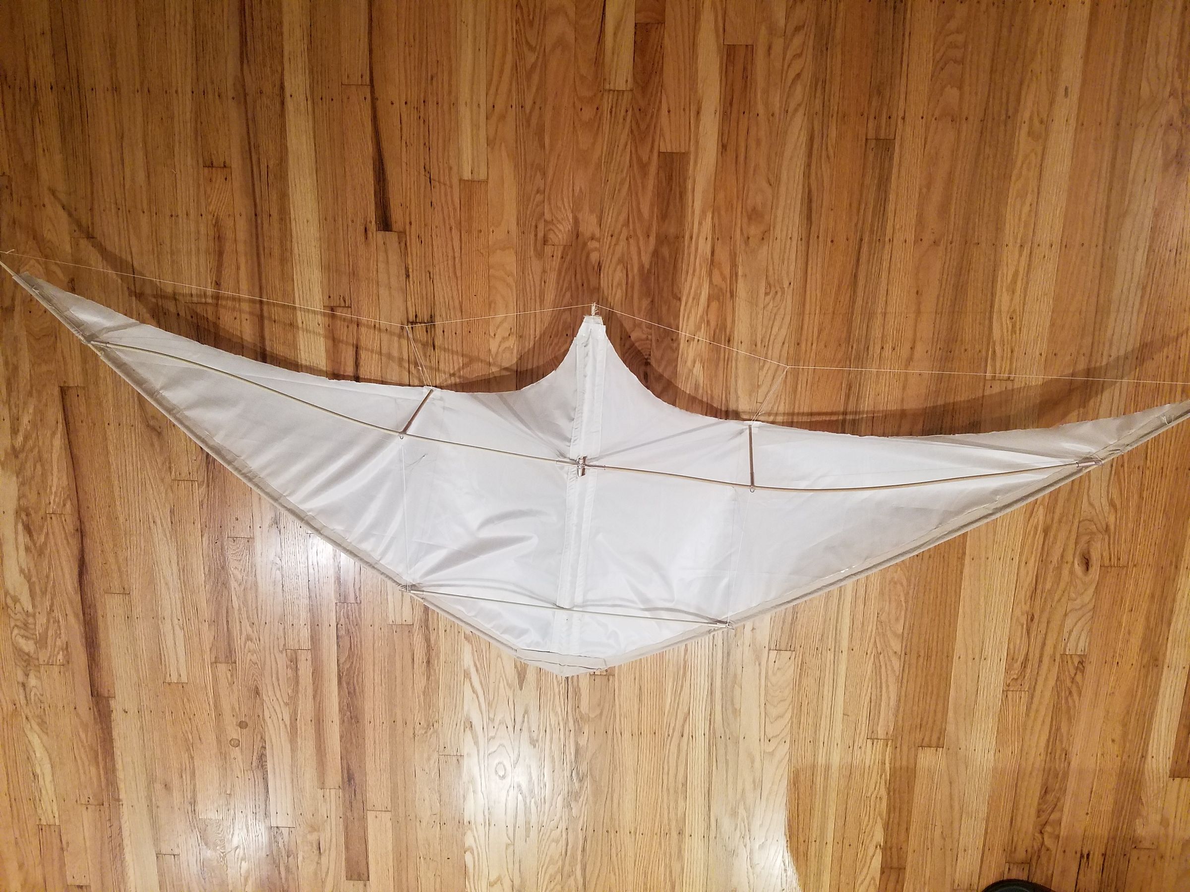 Freestyle Stunt Kite : 9 Steps (with Pictures) - Instructables