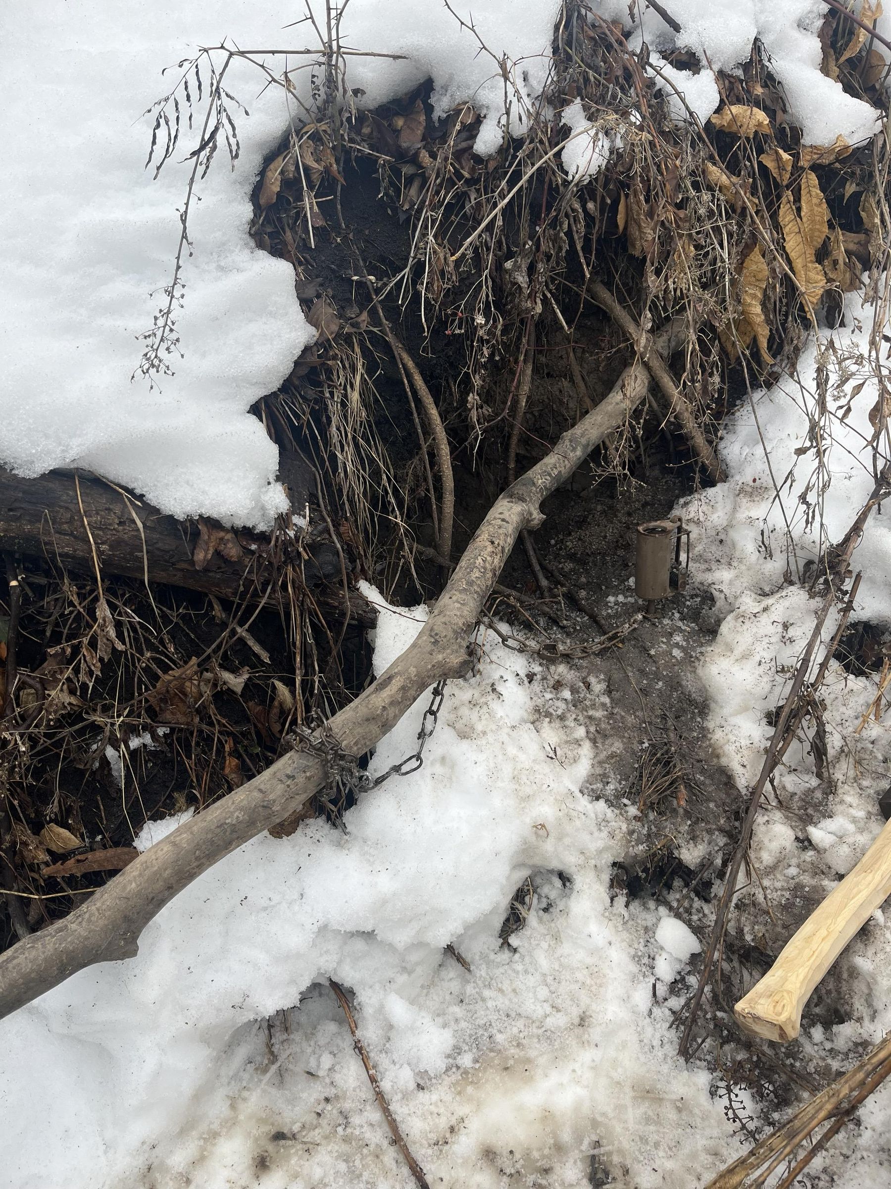 Trapping 101 : 4 Steps - Instructables