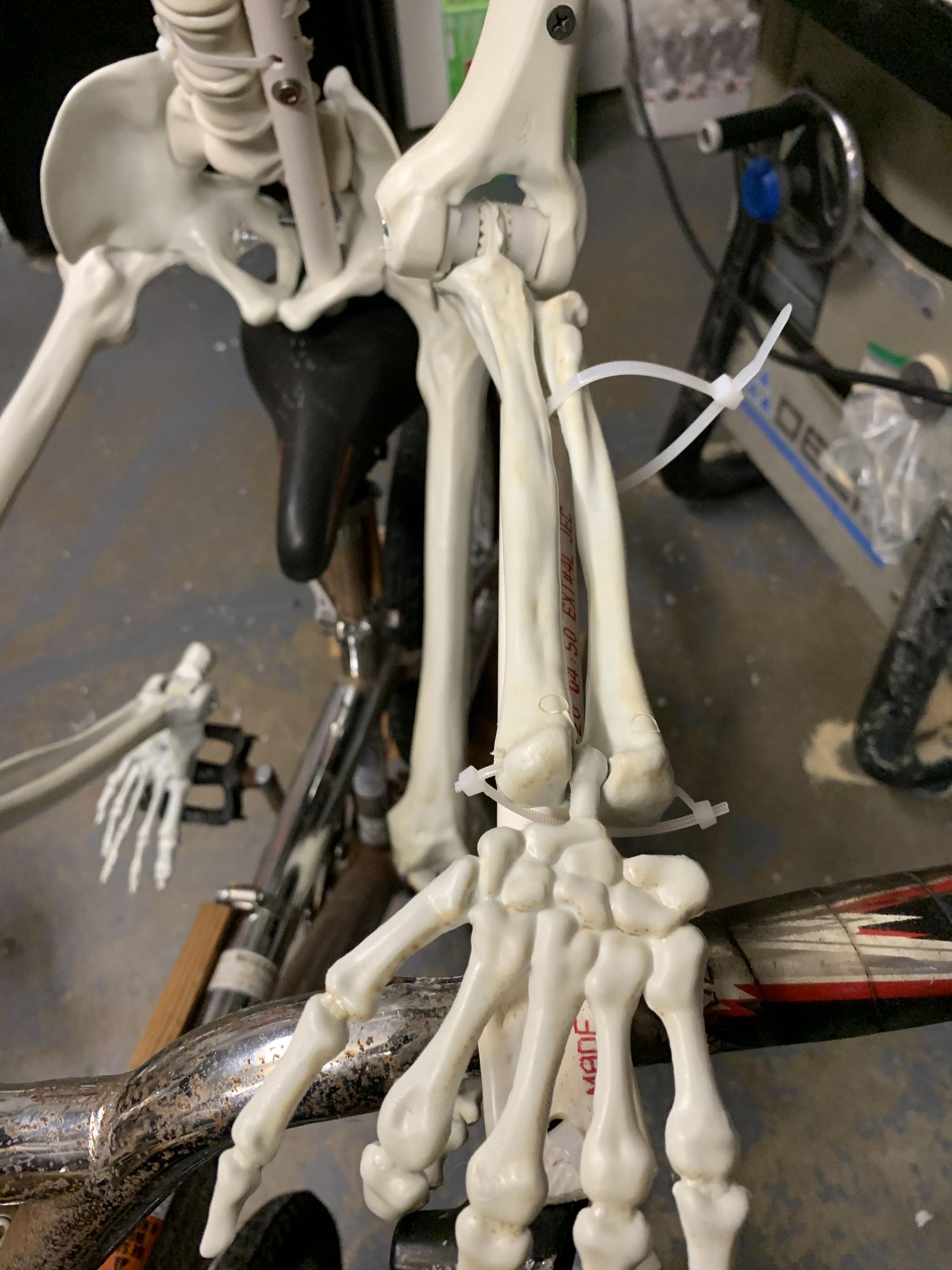 The Bike Riding Skeleton : 9 Steps (with Pictures) - Instructables