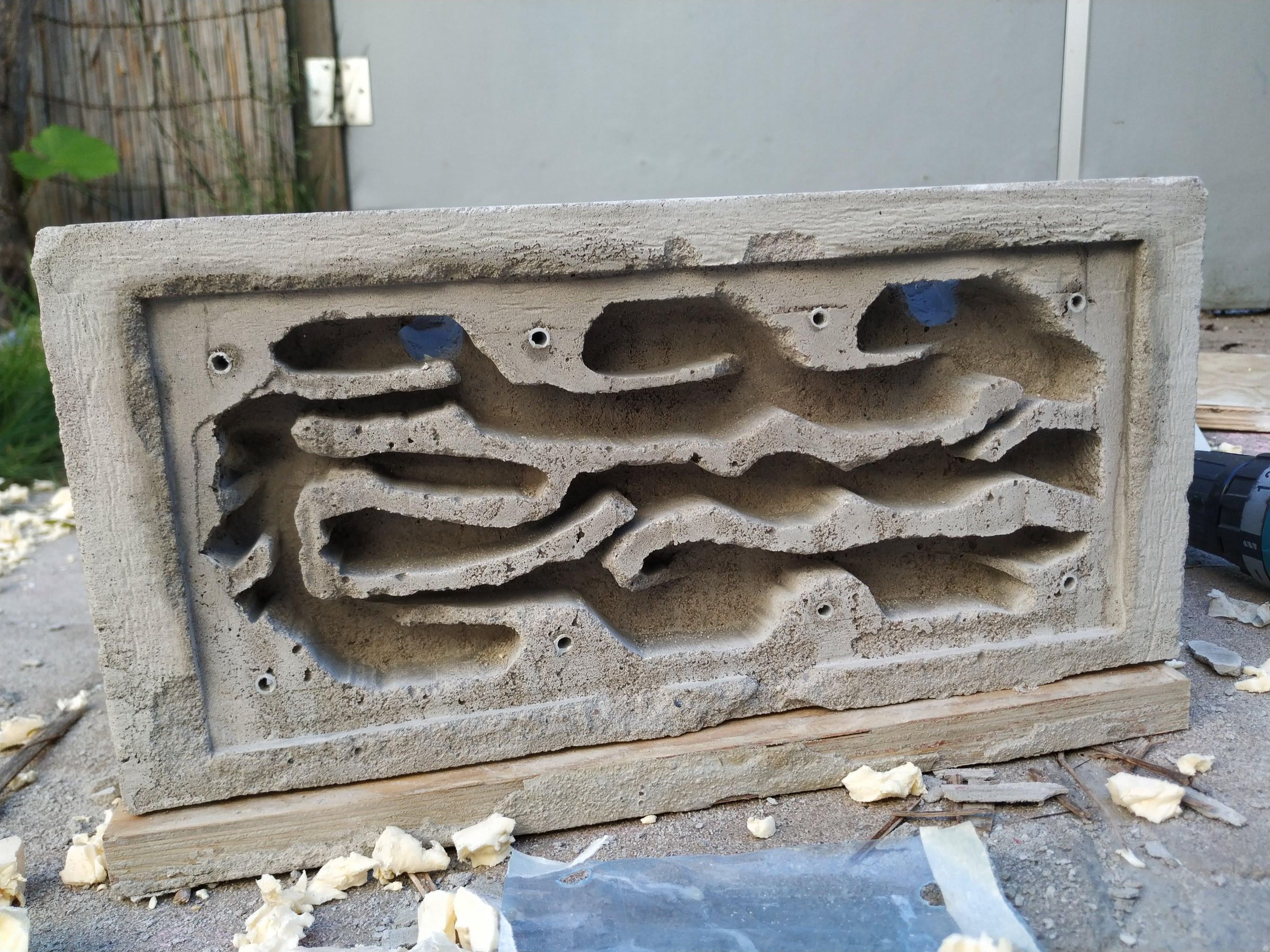 Concrete Ants Nest : 4 Steps (with Pictures) - Instructables