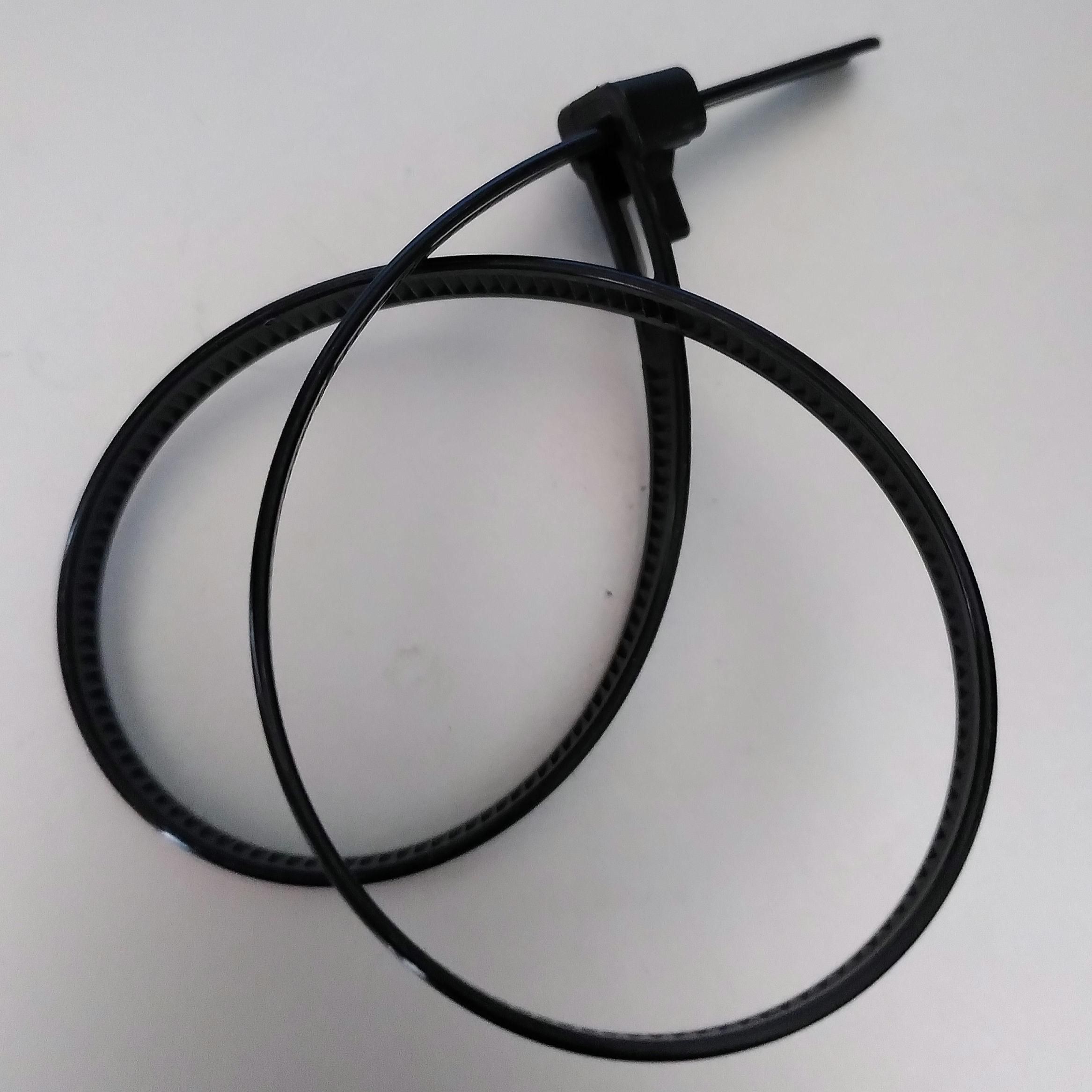 Bamboo Dome : 4 Steps (with Pictures) - Instructables