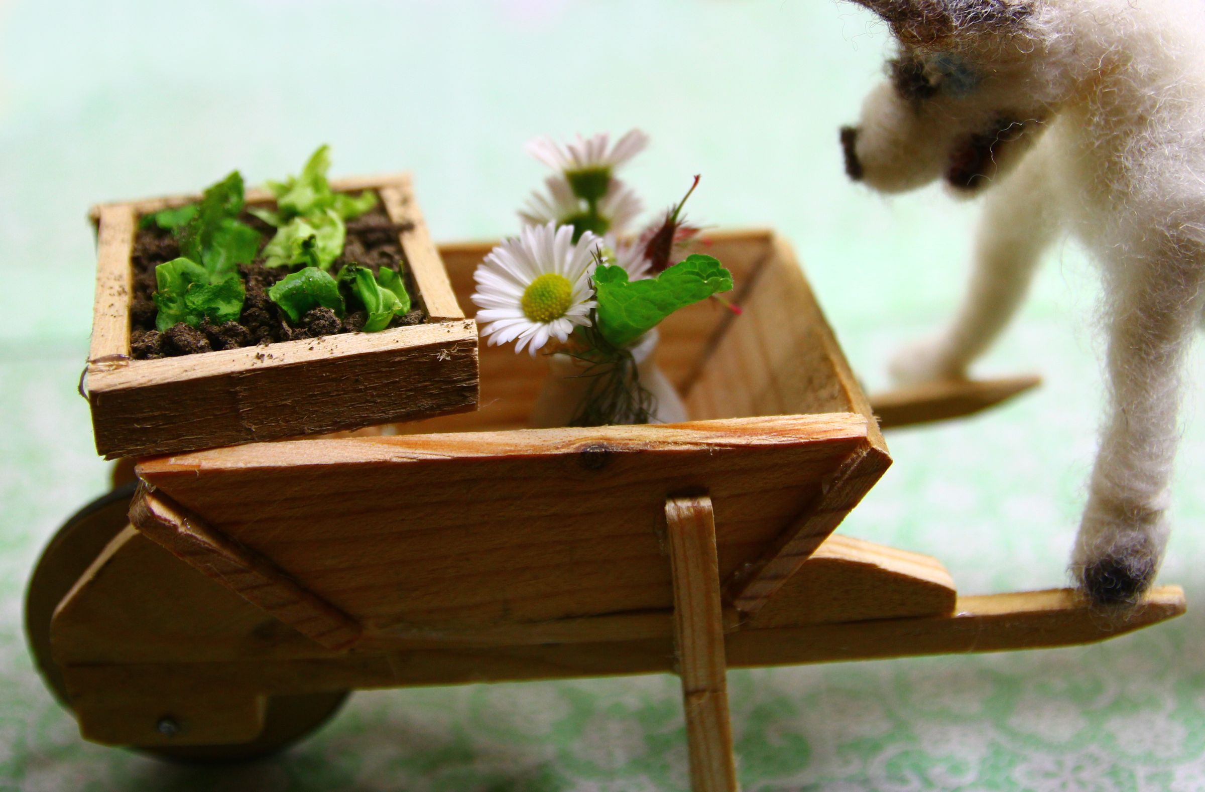 Tiny Wooden Wheelbarrow : 8 Steps (with Pictures) - Instructables