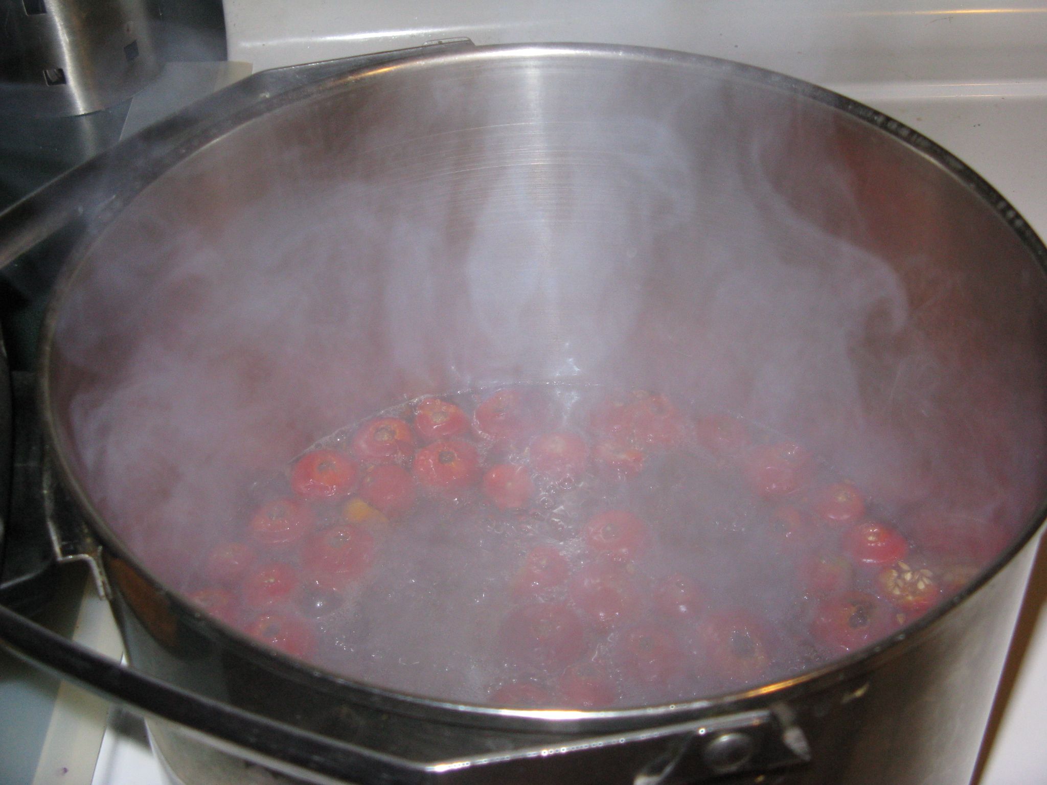 Sugar Free Rose Hip Jelly : 10 Steps (with Pictures) - Instructables