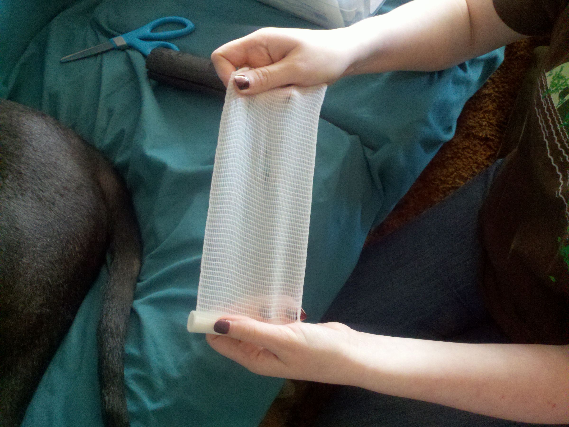 Happy Tail Solution : 5 Steps - Instructables