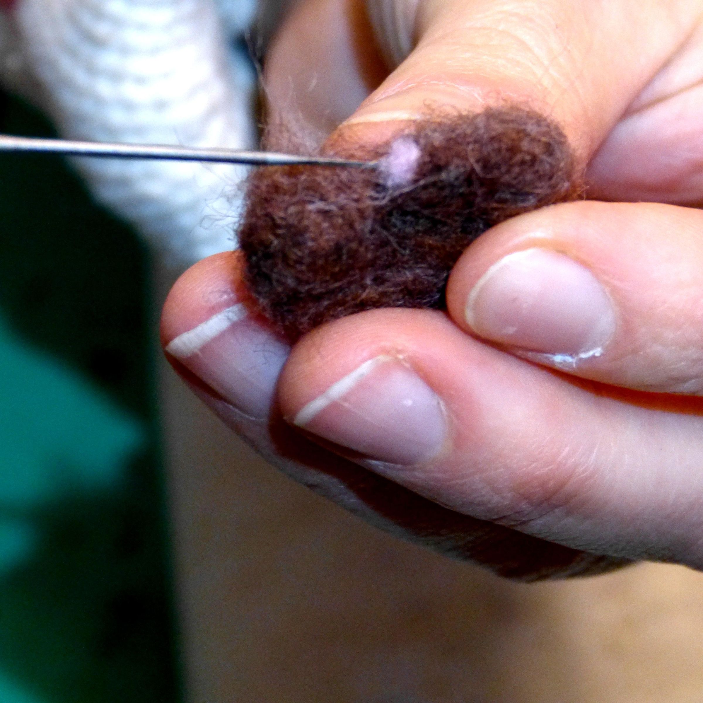 Houseplant Treehouse & Tiny Mouse : 15 Steps (with Pictures ...