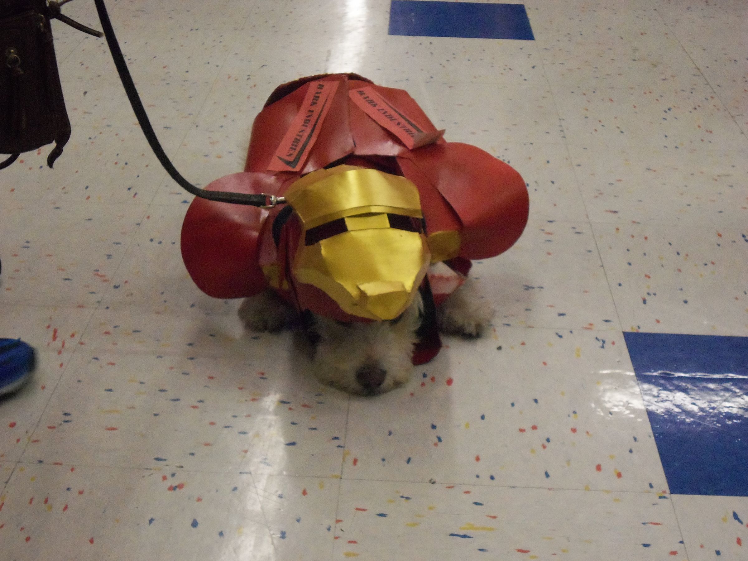 Ironman Dog : 3 Steps - Instructables