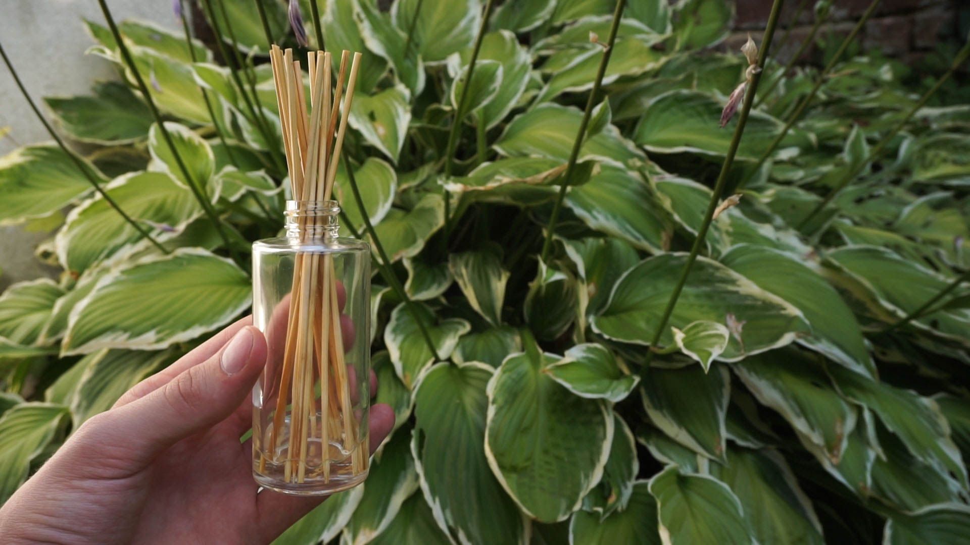 Cheap Reed Diffuser Based on Essential Oil : 5 Steps (with Pictures ...