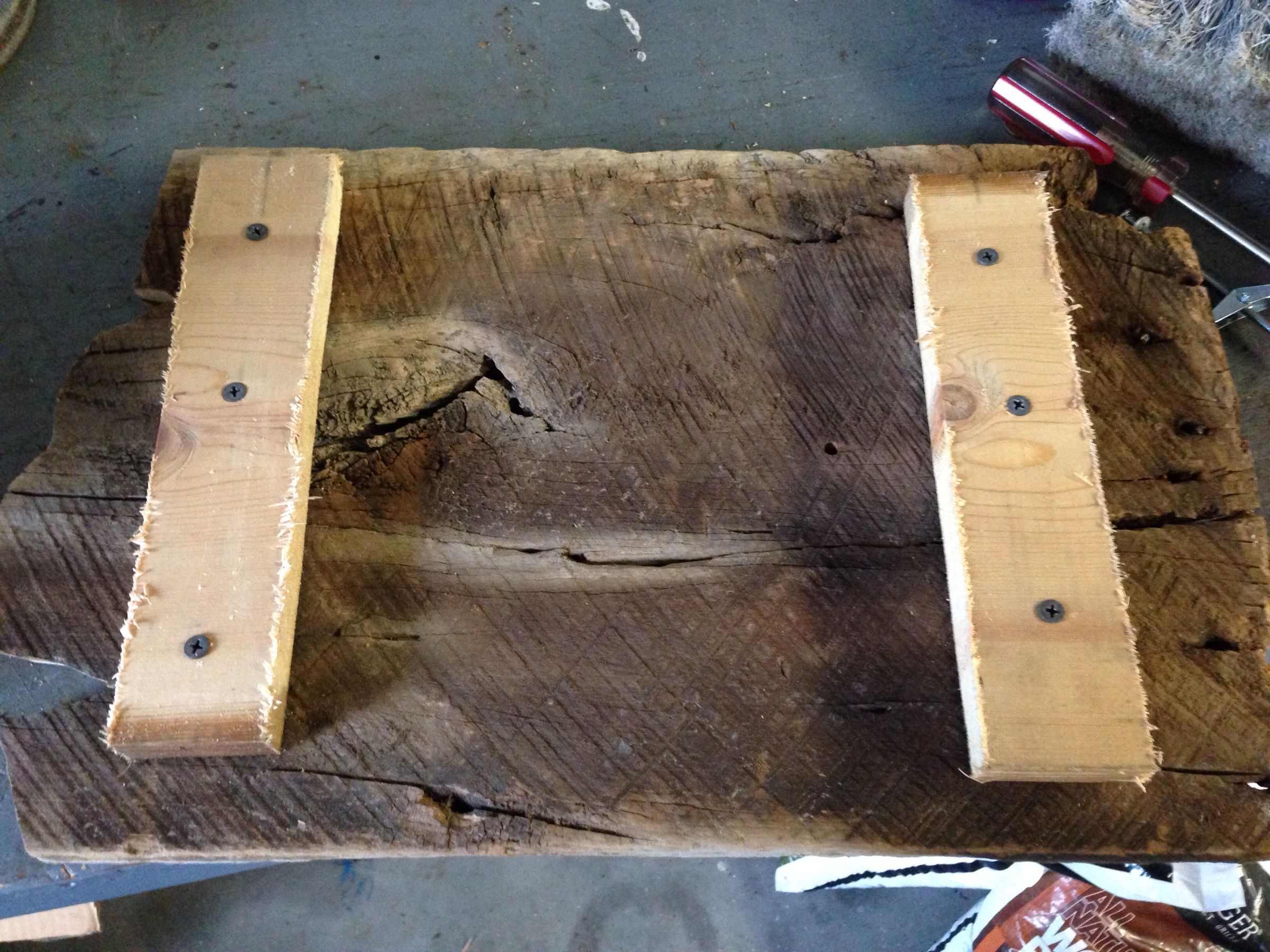 European Mounted Deer : 10 Steps - Instructables