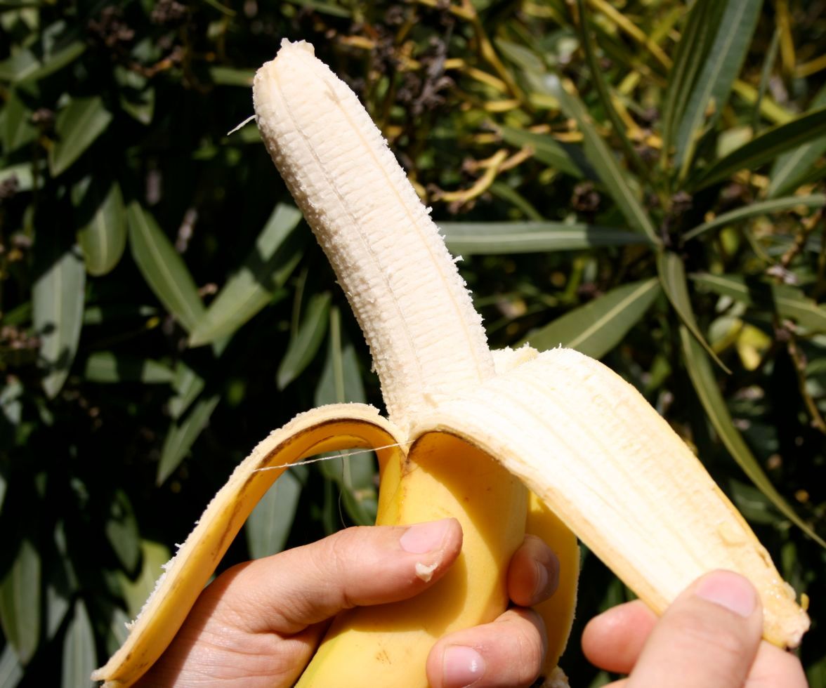How to Eat a Banana Like a Monkey : 7 Steps (with Pictures) - Instructables