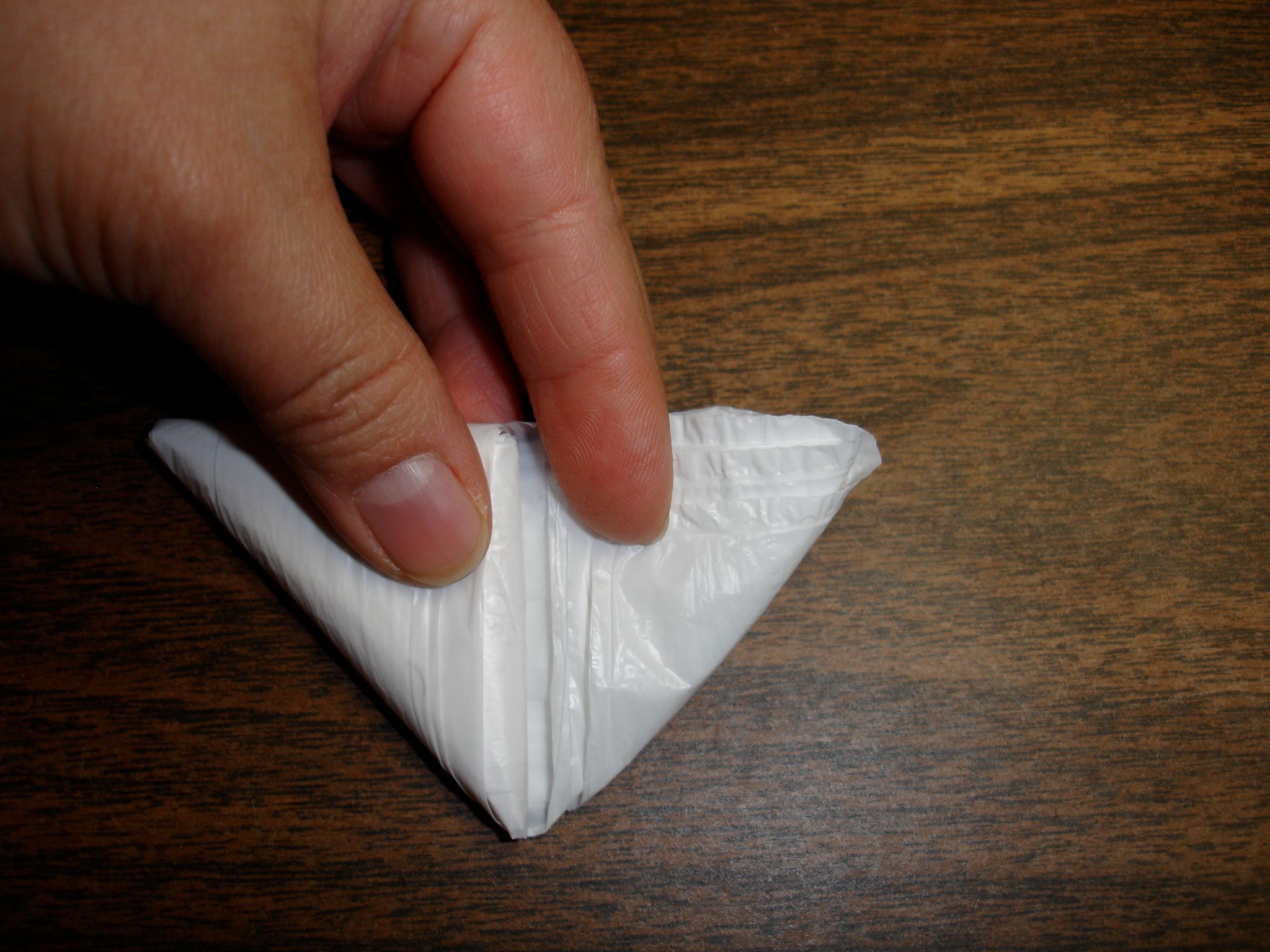 Plastic Bag Origami : 5 Steps - Instructables