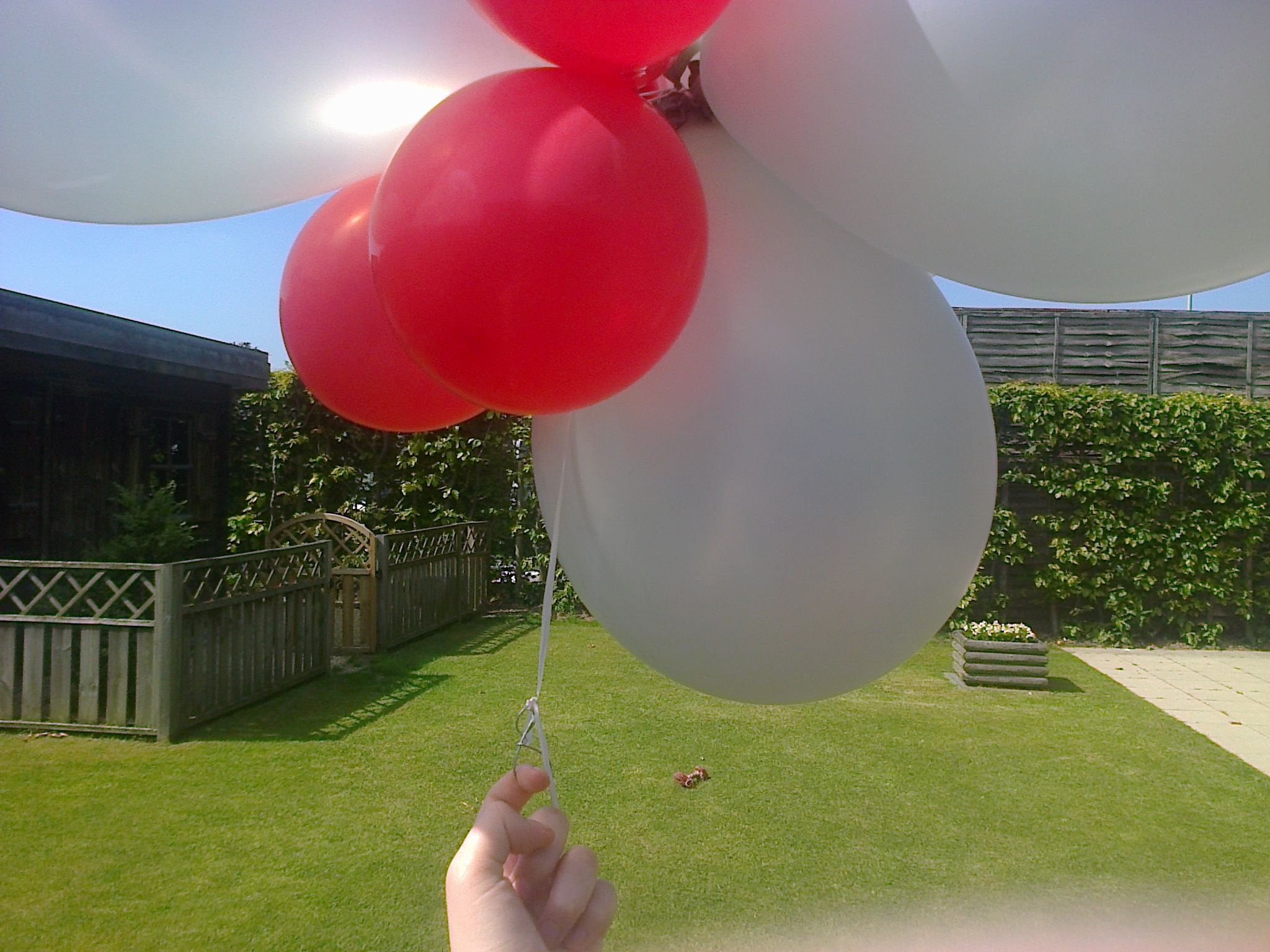 Feather + Balloon Airplane : 5 Steps - Instructables