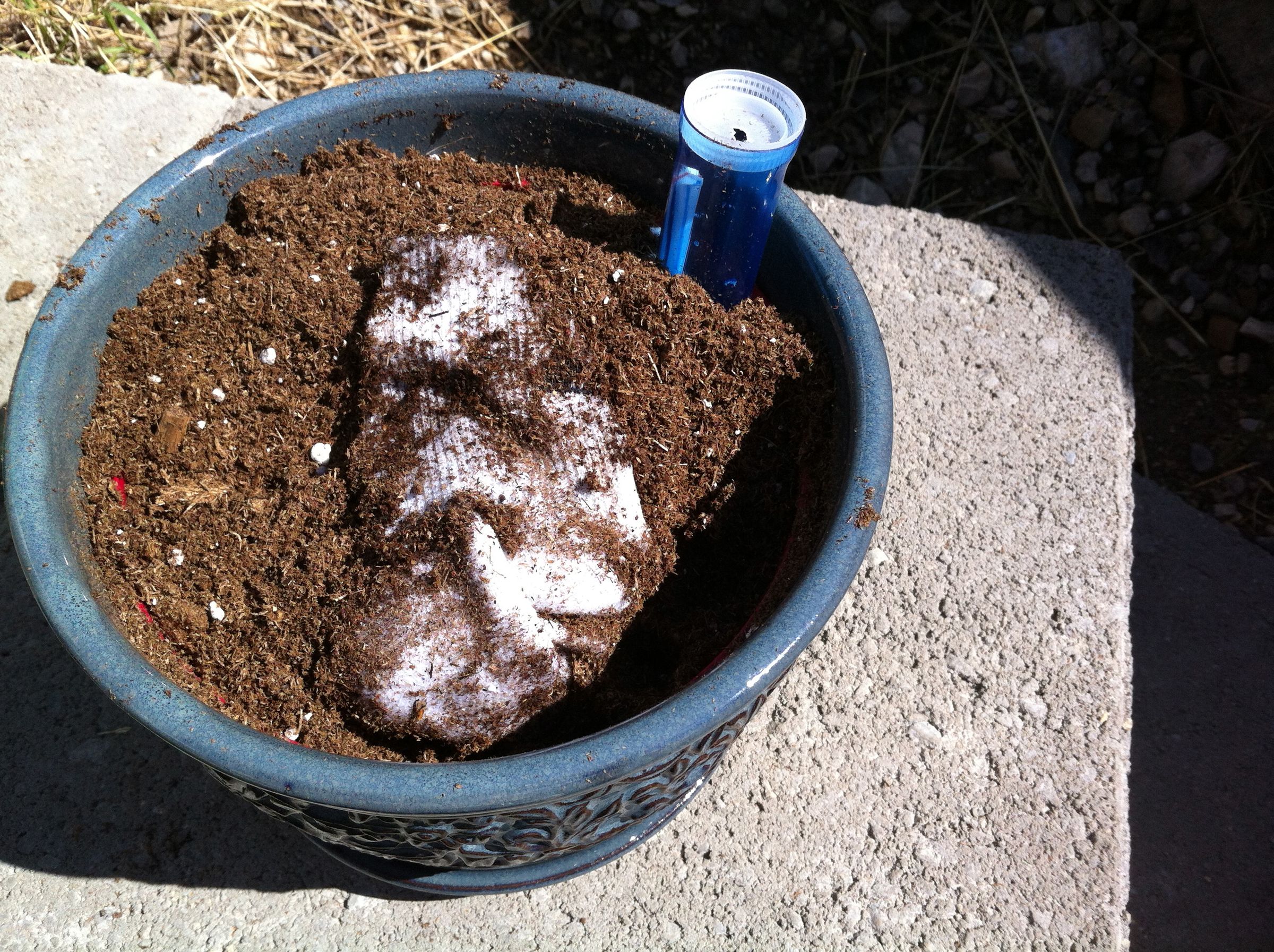 Self Watering House Plant (with Water Level Indicator) : 5 Steps ...