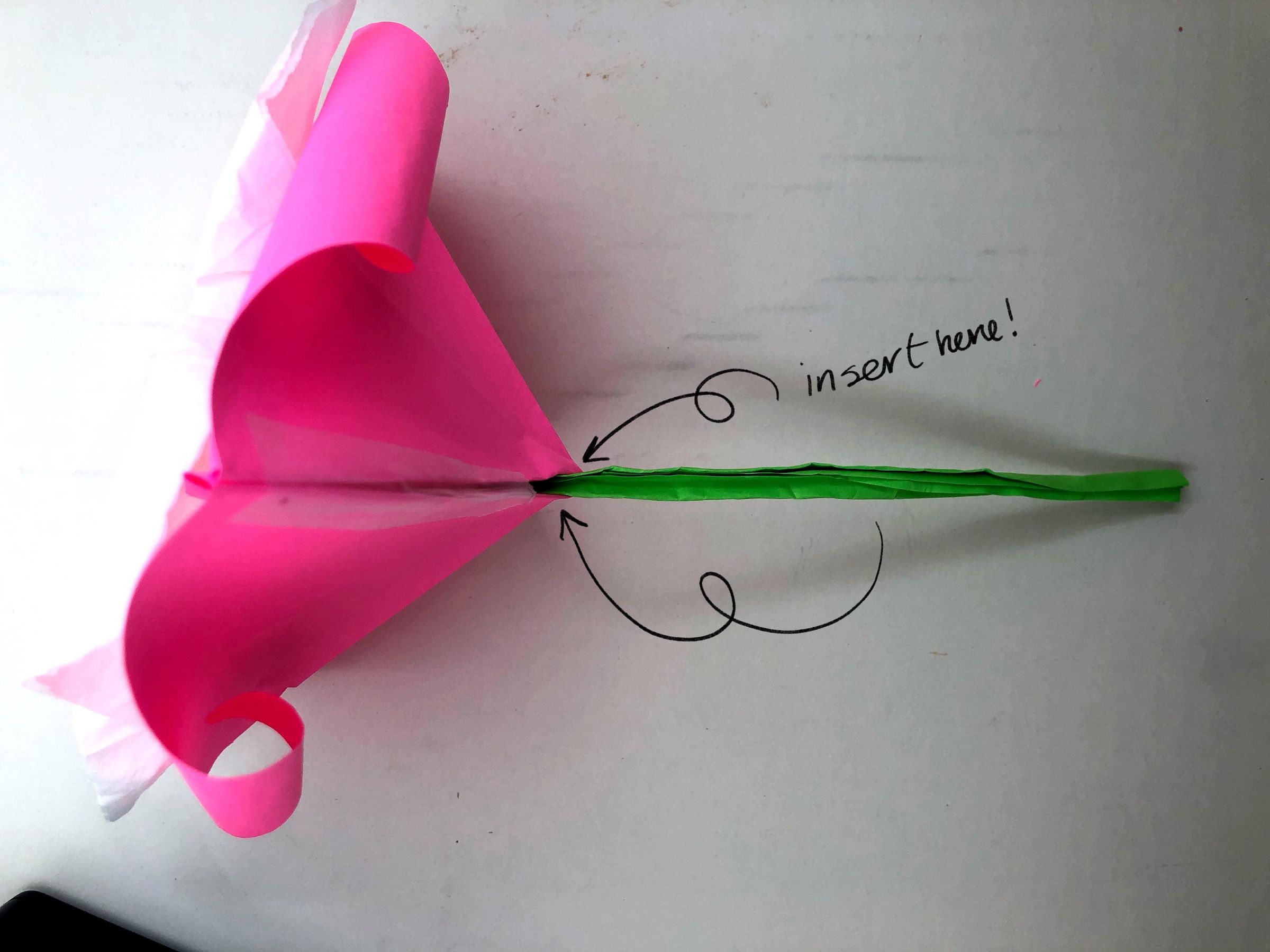 Easy Paper Flower Tutorial! : 27 Steps (with Pictures) - Instructables