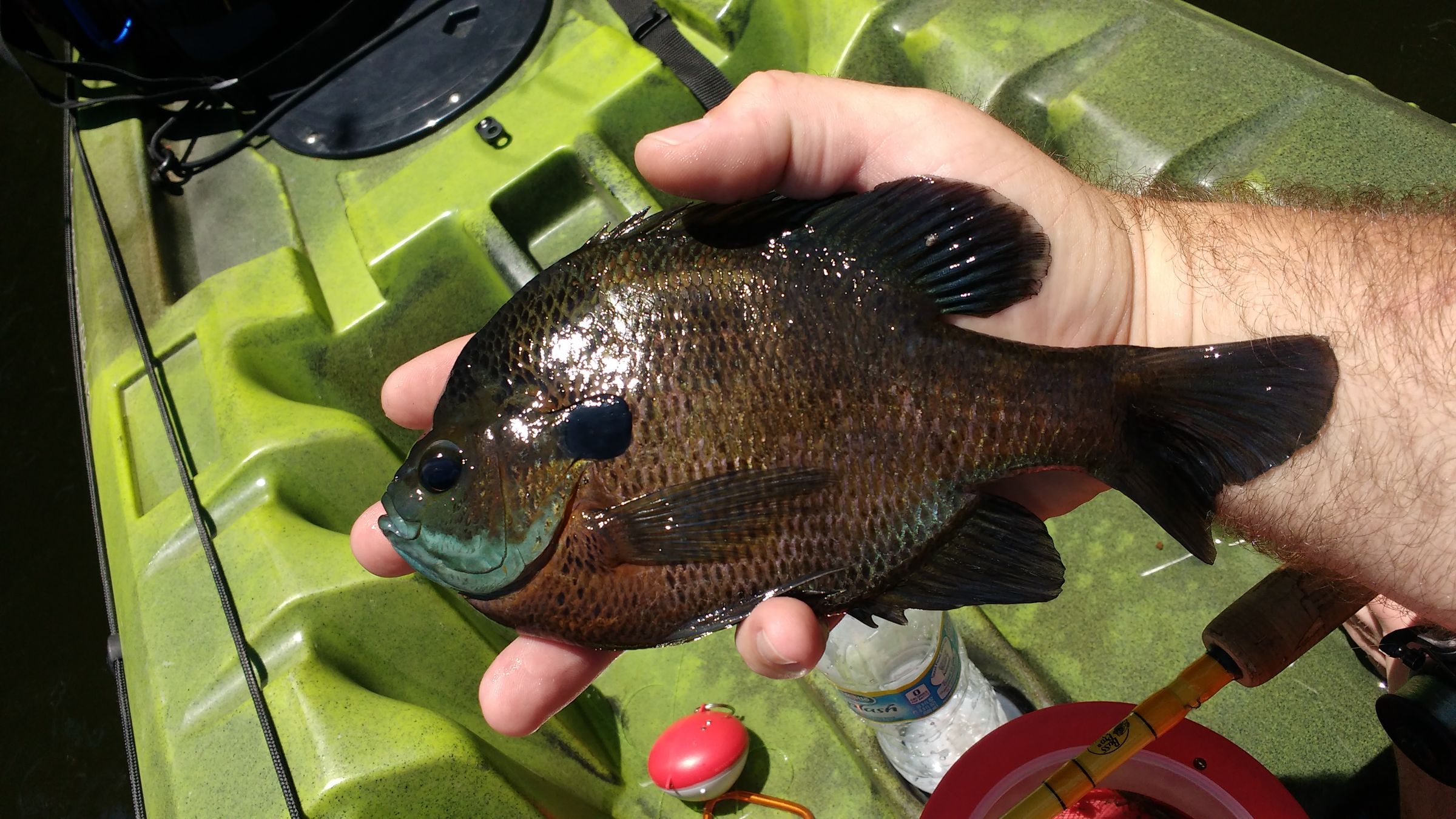 Fishing: Make a Drop Shot Rig for Panfish : 5 Steps (with Pictures ...
