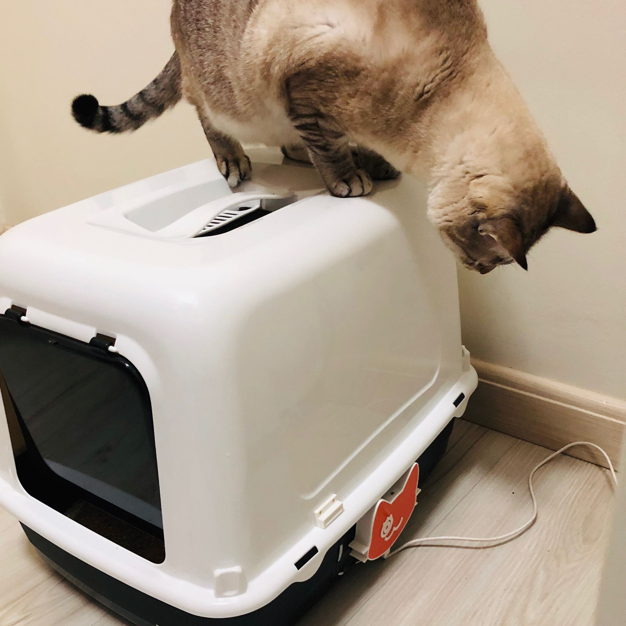IoT Cat Litter Box (with ESP32, Arduino IDE, Thingspeak and 3D Printing ...