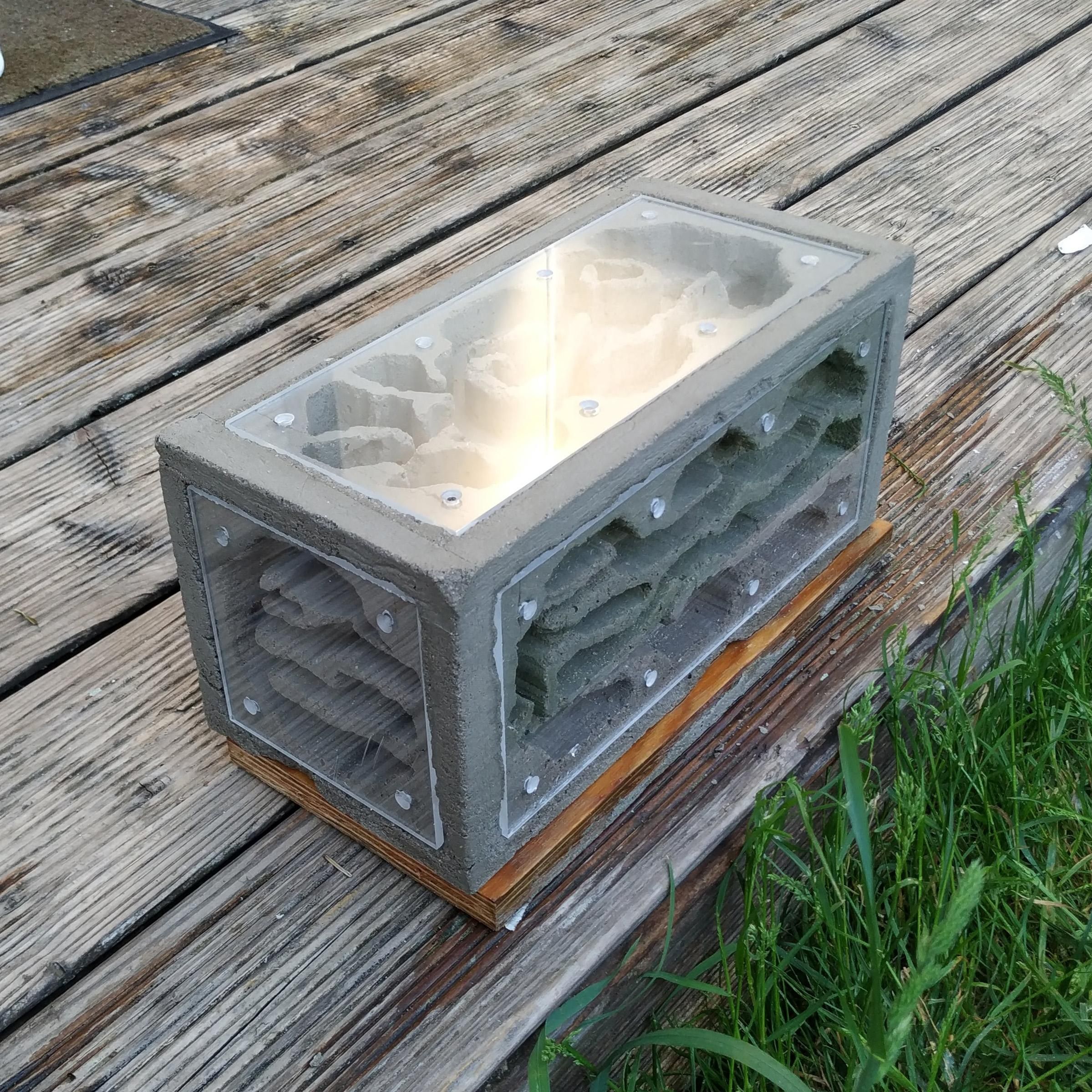 Concrete Ants Nest : 4 Steps (with Pictures) - Instructables