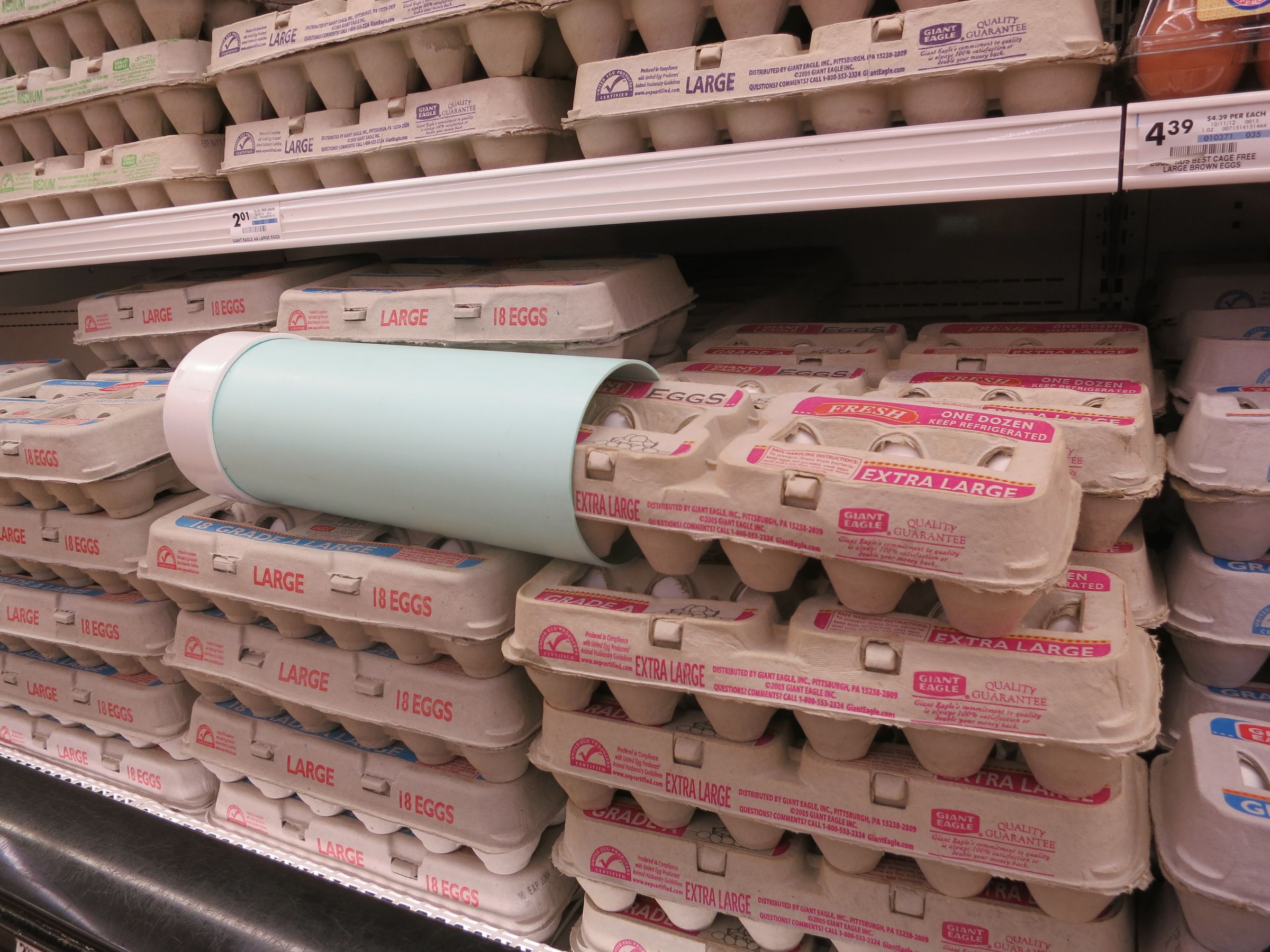 Egg Carrier - I Made It at TechShop : 5 Steps - Instructables