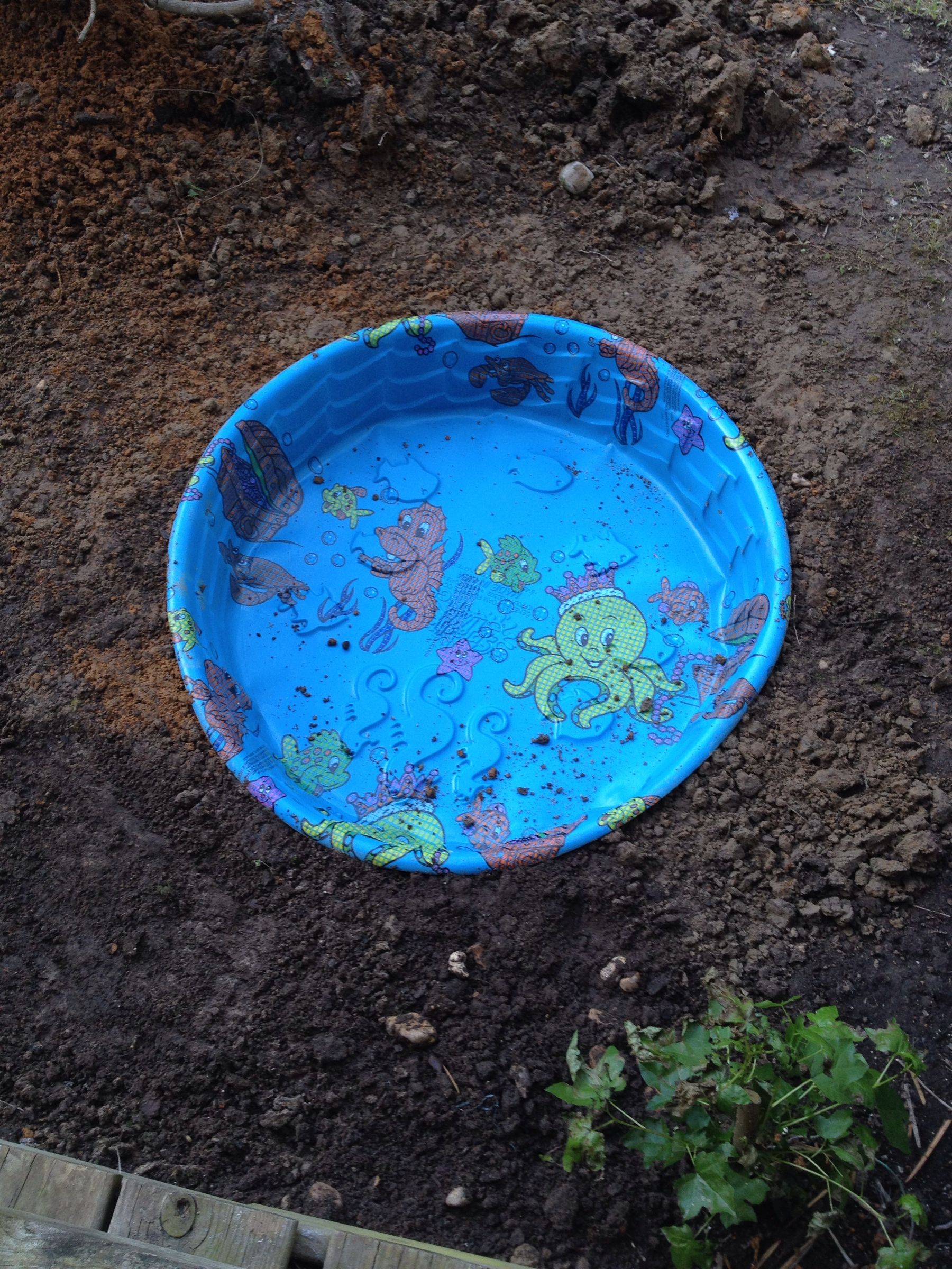 Fun Fish Pond : 3 Steps - Instructables