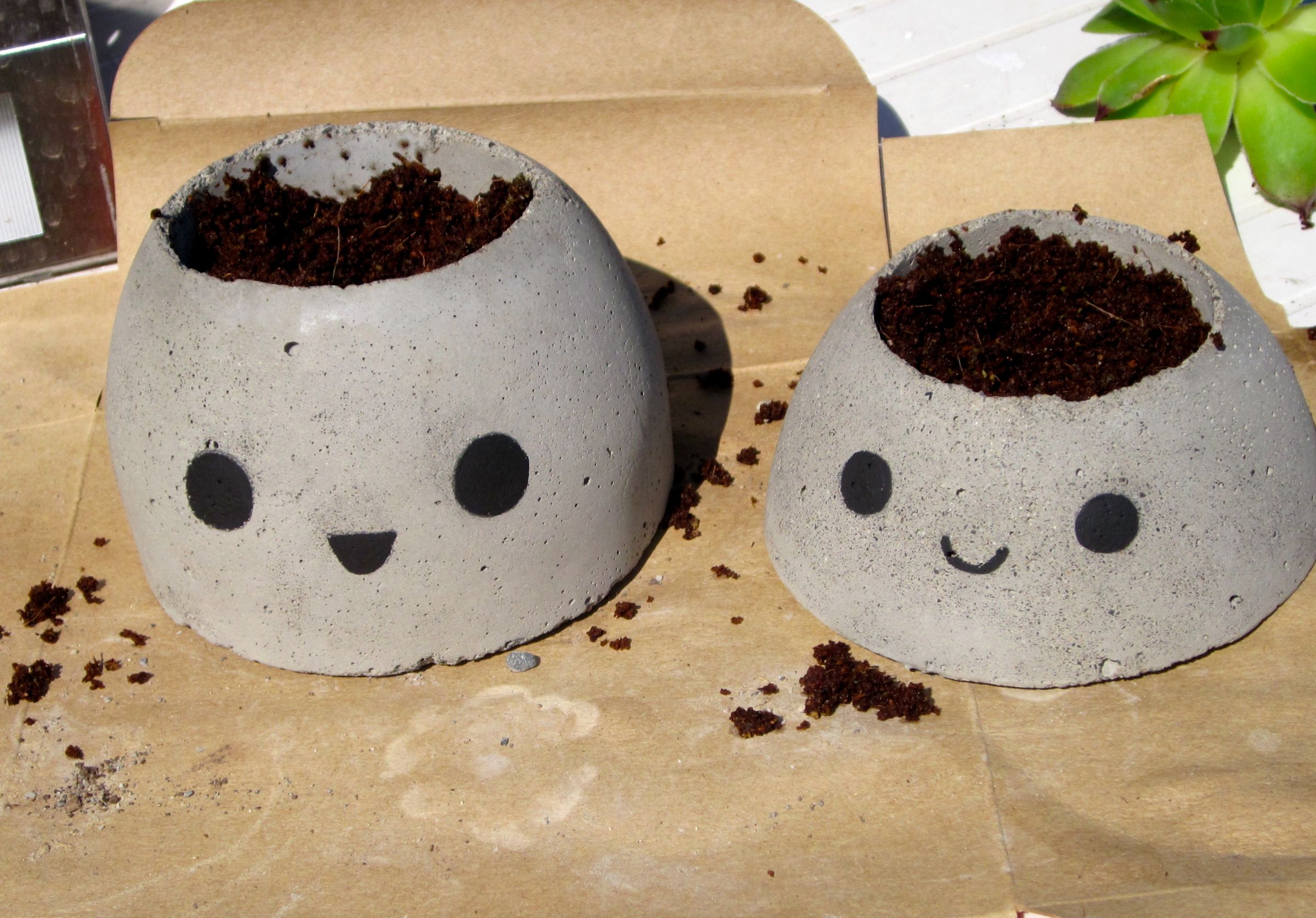 Cute Concrete Planter : 5 Steps (with Pictures) - Instructables