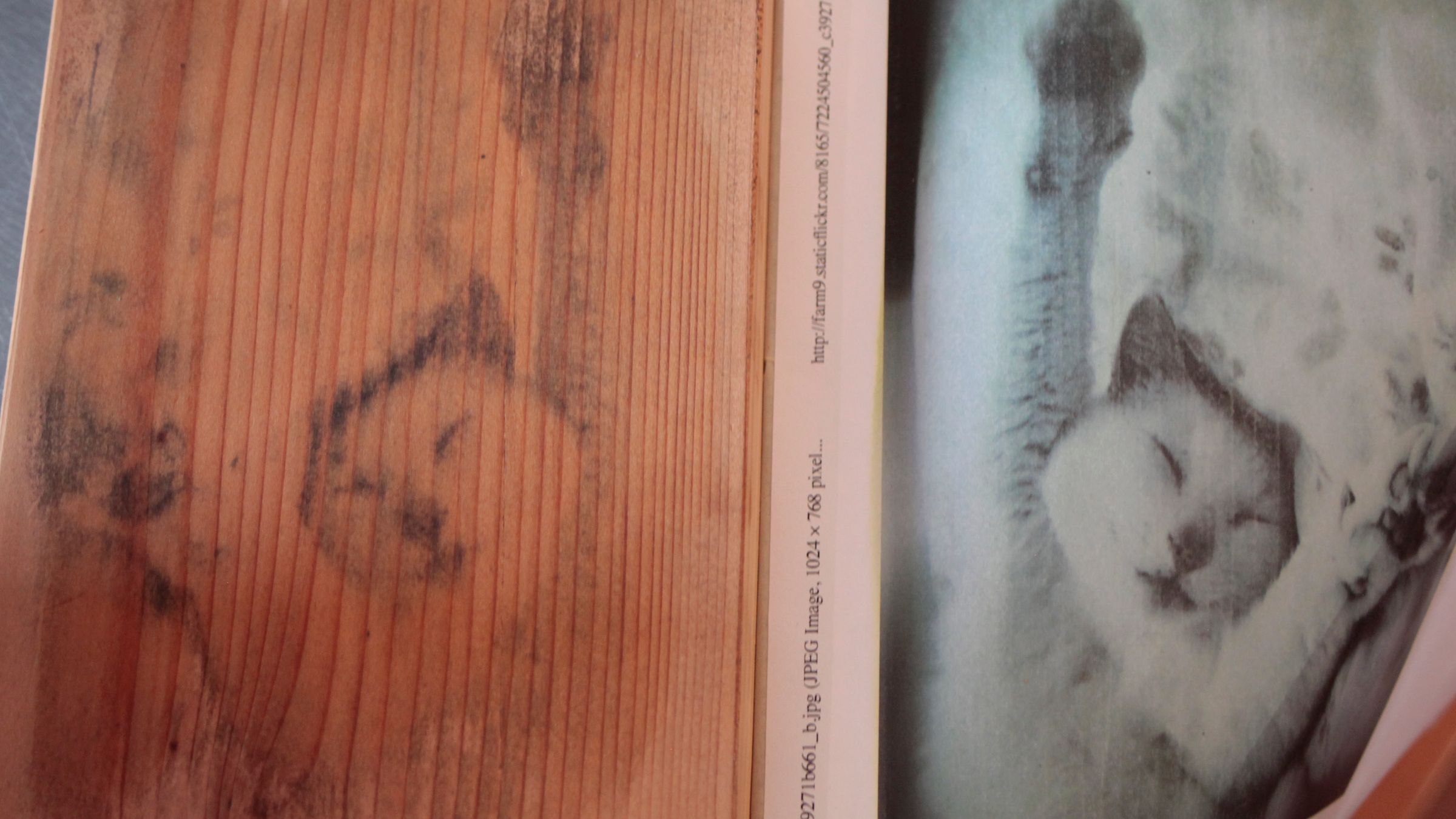Laser Printer Image Transfers : 4 Steps (with Pictures) - Instructables