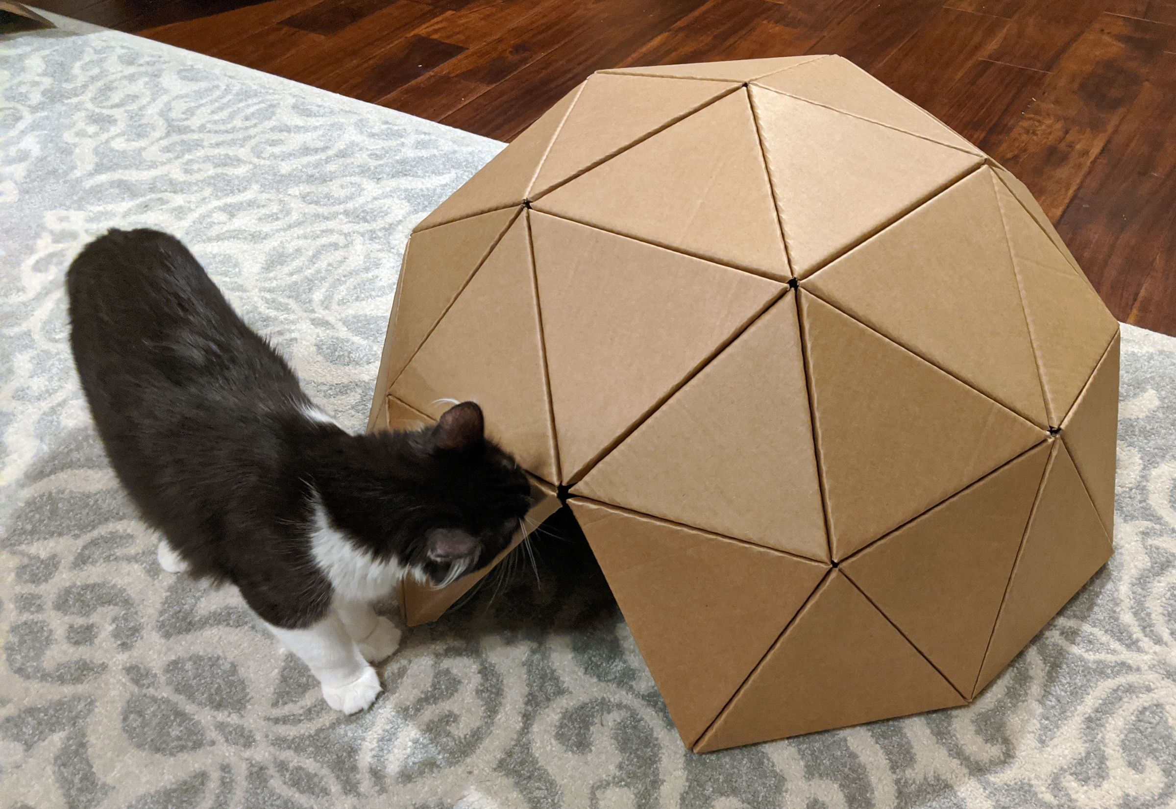 Cardboard Geodesic Dome HOW TO MAKE A CARDBOARD GEODOME This Is So
