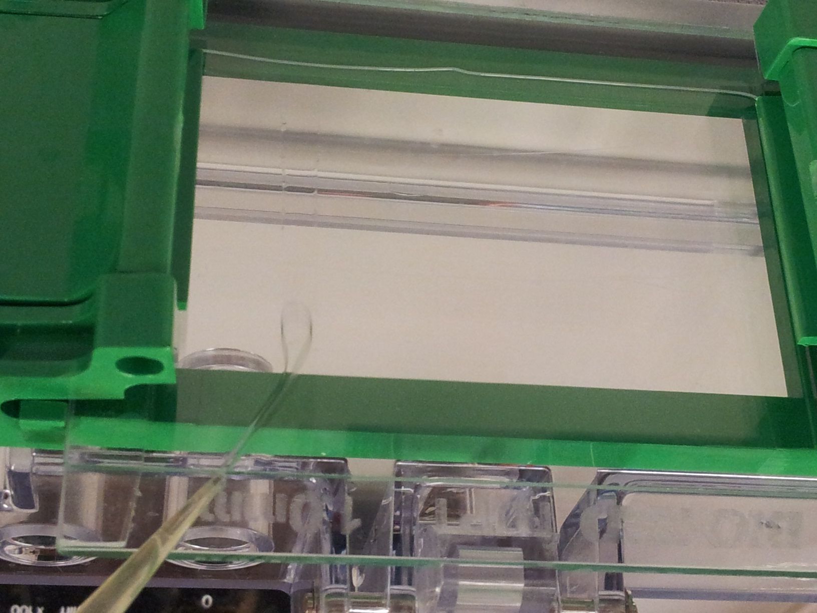 Evaluation for an APS/TEMED Aliquot in the SDS-PA Gel Protocol : 8 ...