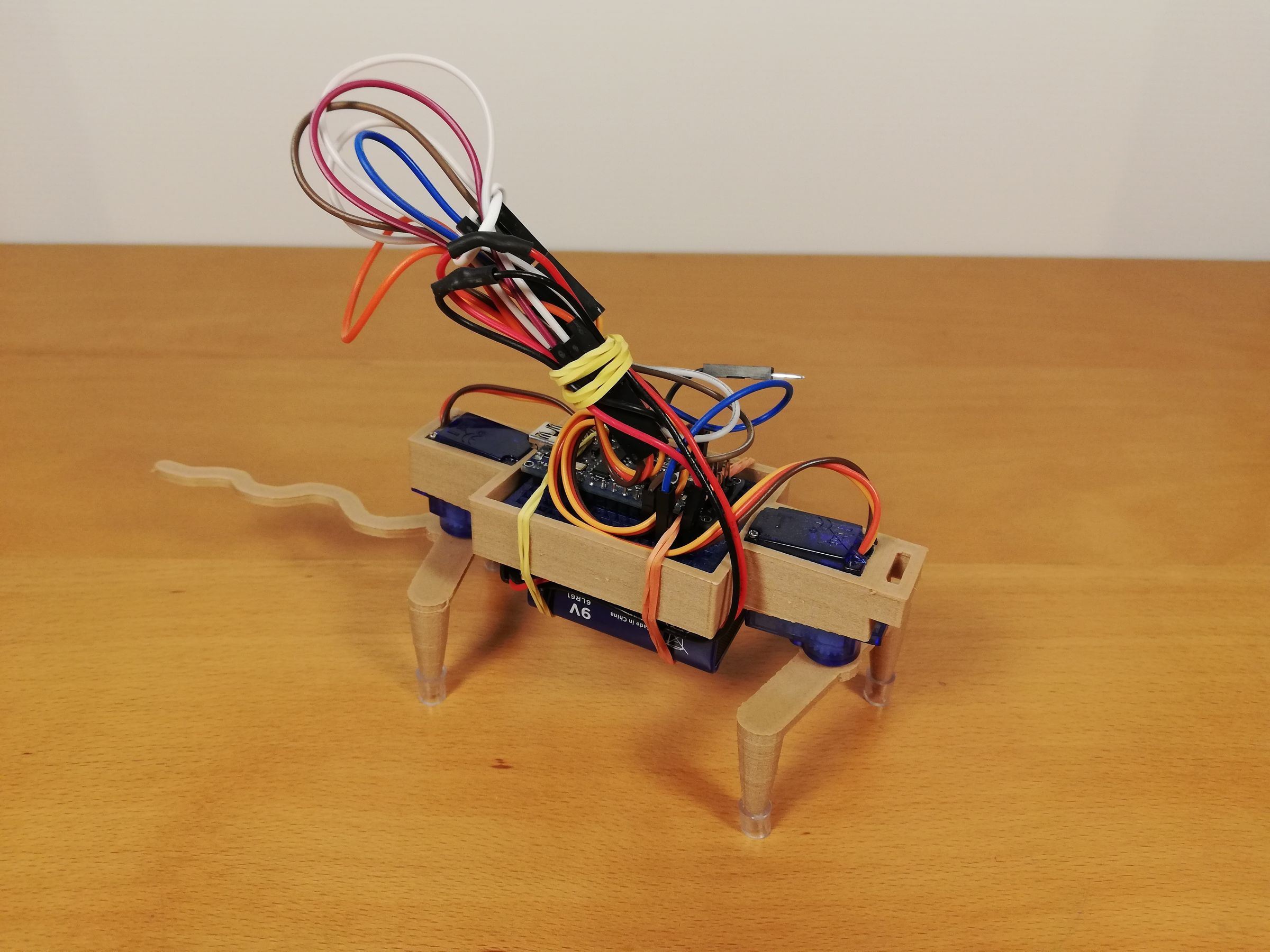 Robotic Rat : 8 Steps (with Pictures) - Instructables