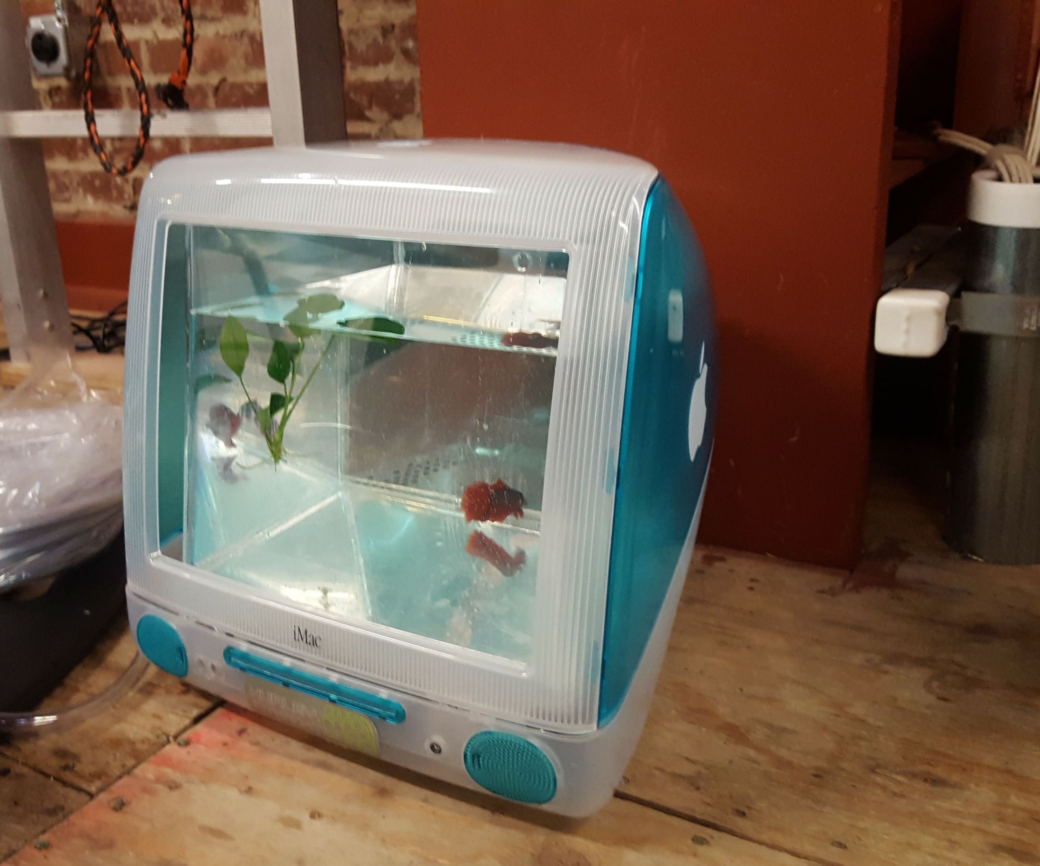 DIY IMac Fish Tank : 10 Steps (with Pictures) - Instructables
