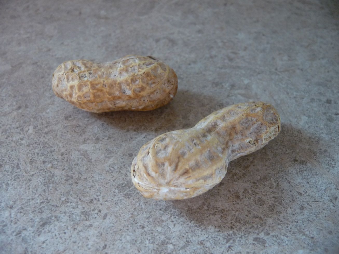 The Best Peanut Prank Ever! (with Pictures) - Instructables