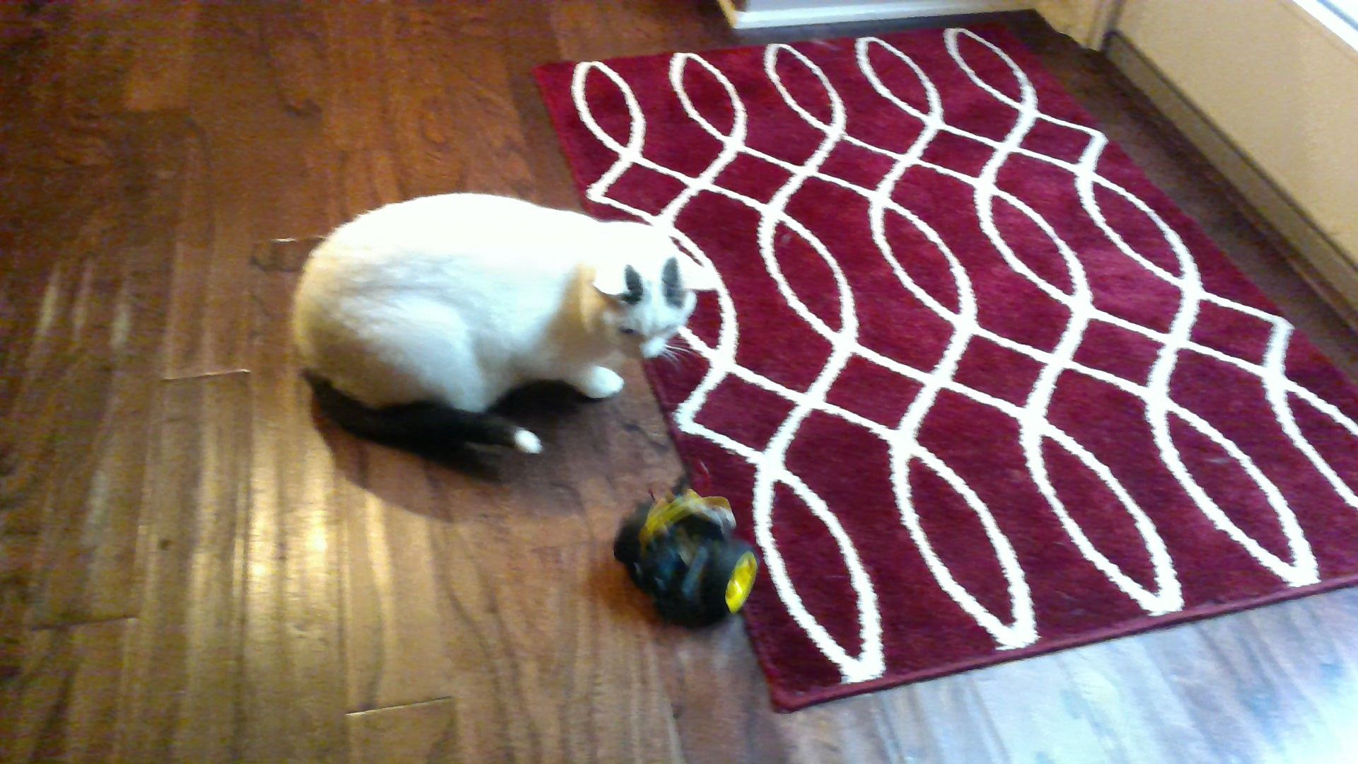 Simple Robot for Beginners! : 3 Steps (with Pictures) - Instructables