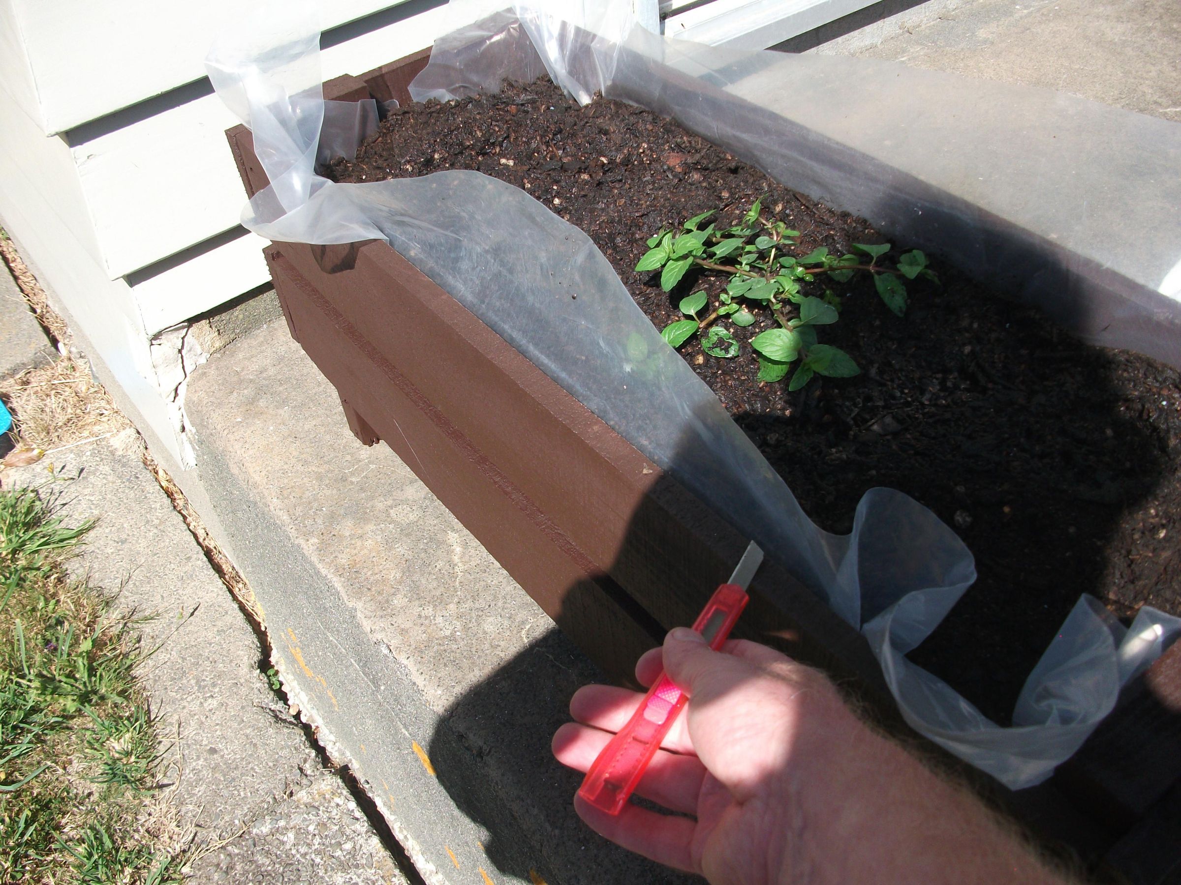 Pedestal Peppermint Patch Planter : 4 Steps (with Pictures) - Instructables