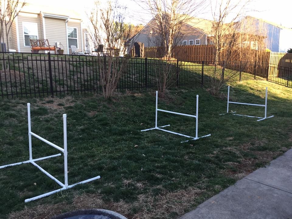 Dog Agility Jump : 8 Steps (with Pictures) - Instructables