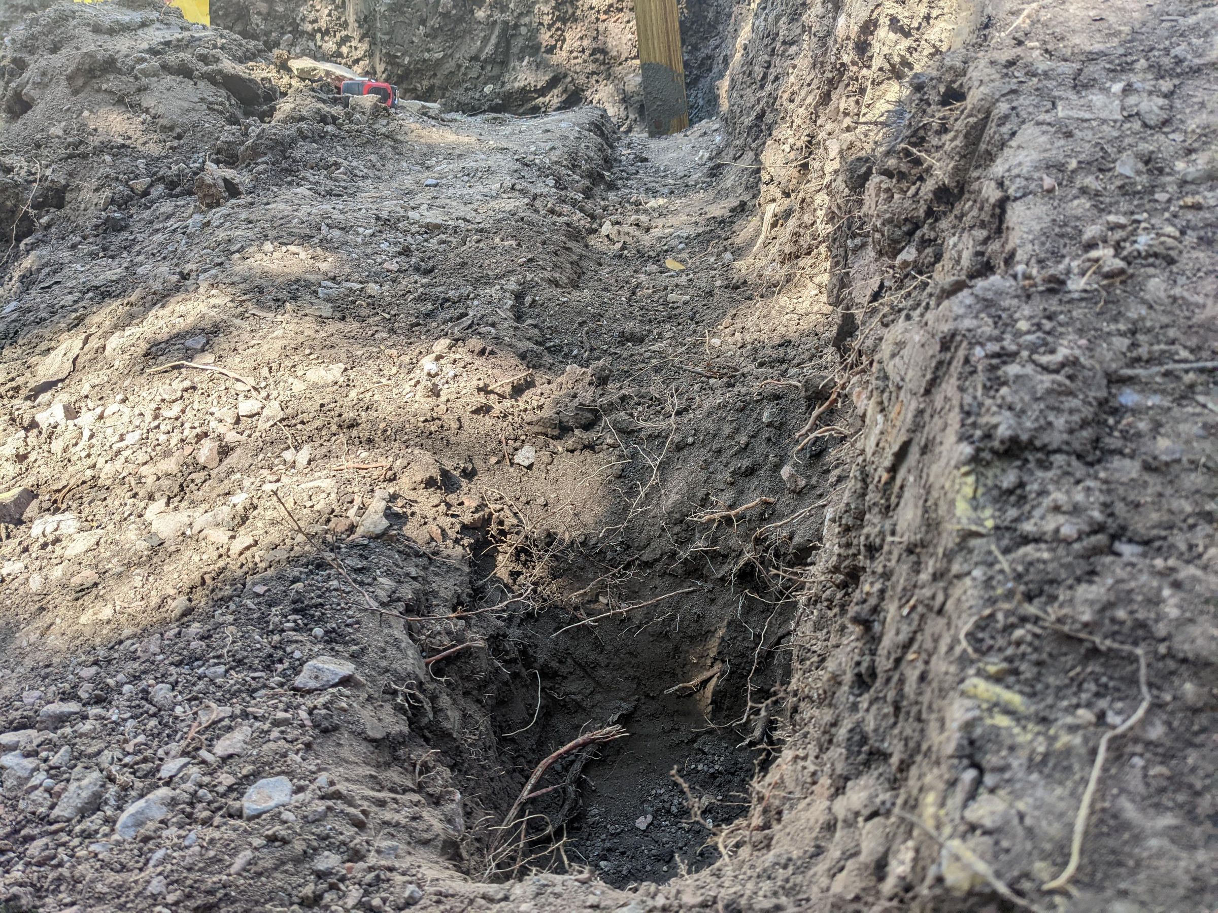 Creating a Beautiful Tiered Garden From a Boring New Build Slope : 8 ...