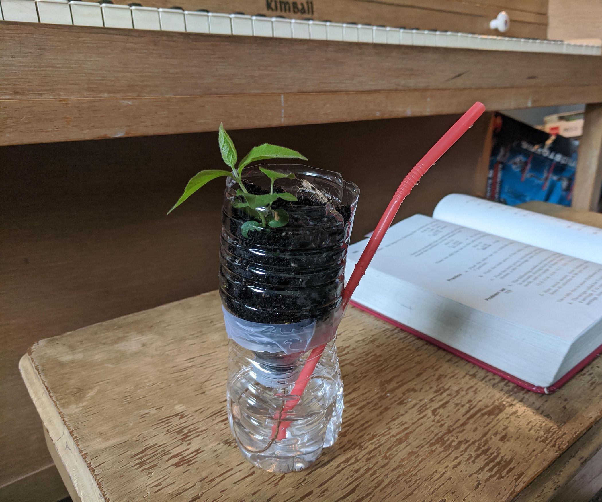 Self Watering Pot : 5 Steps - Instructables