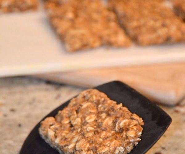 Easy to Make Ration/Survival Bars - Instructables
