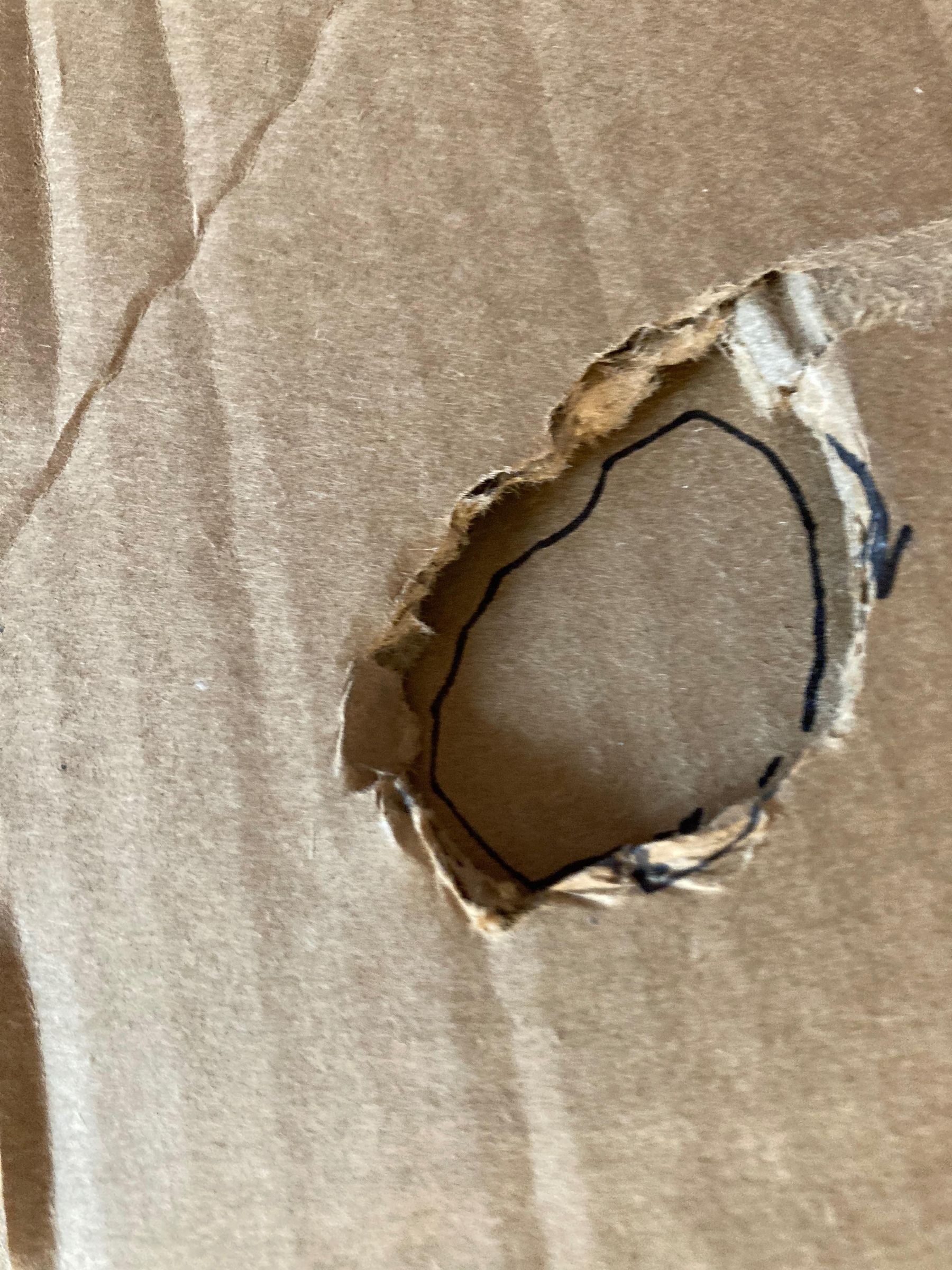 Cardboard Adjustable Basketball Hoop : 8 Steps (with Pictures ...