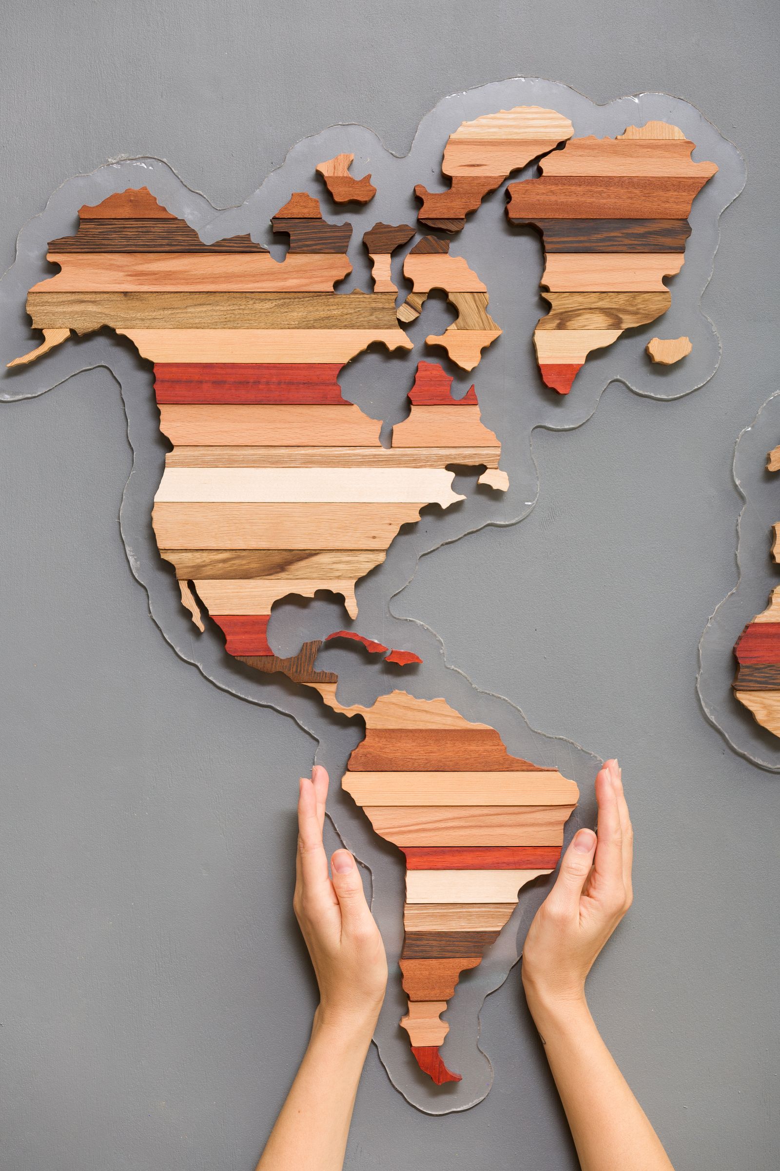 Wooden World Map Zebra : 7 Steps (with Pictures) - Instructables