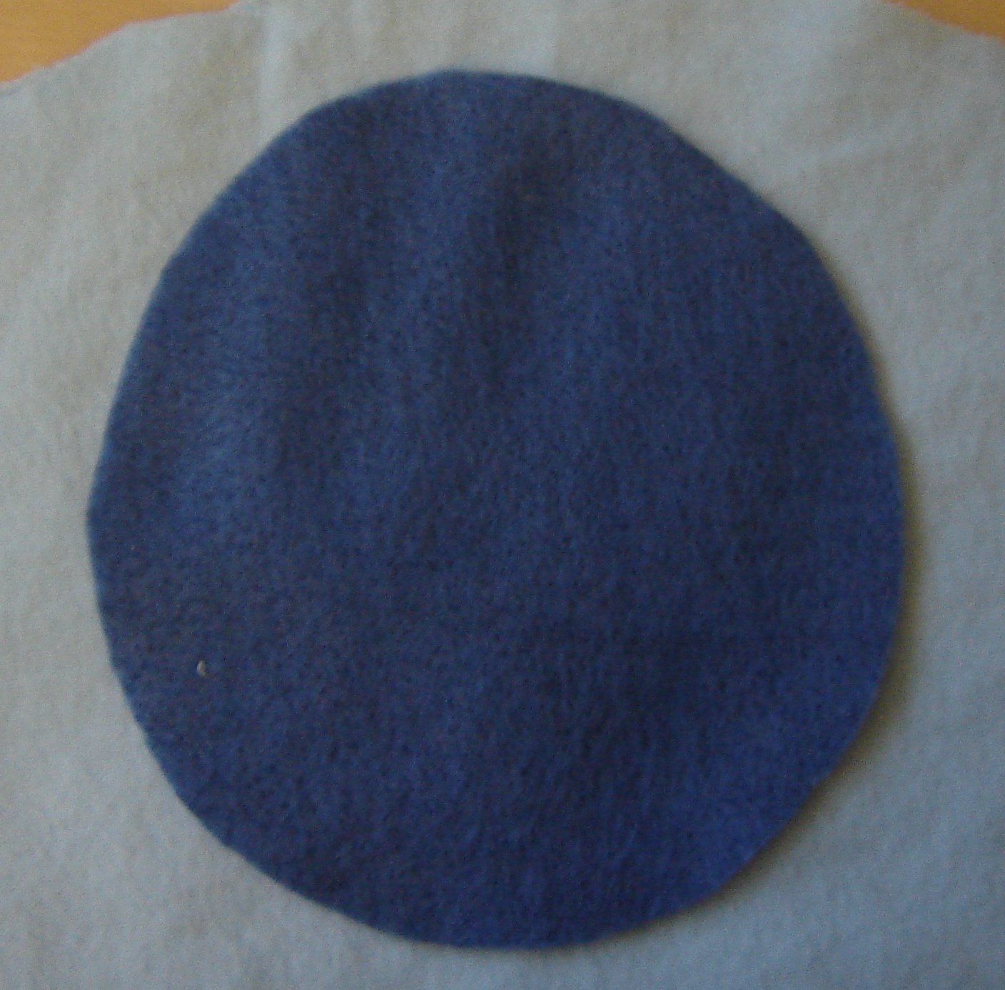 Plush Cell Model : 13 Steps (with Pictures) - Instructables