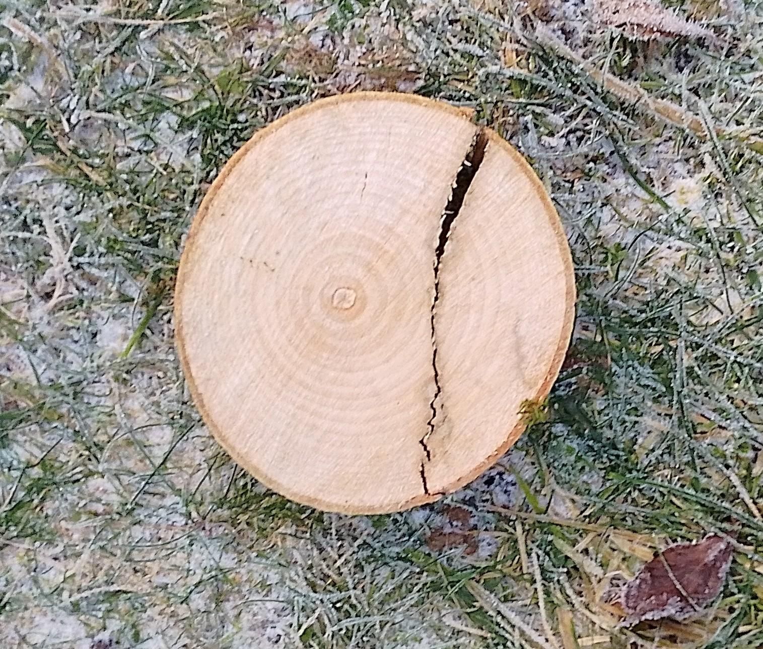 Reading a Trees Rings (Or Visualising Past Weather Events) : 5 Steps ...