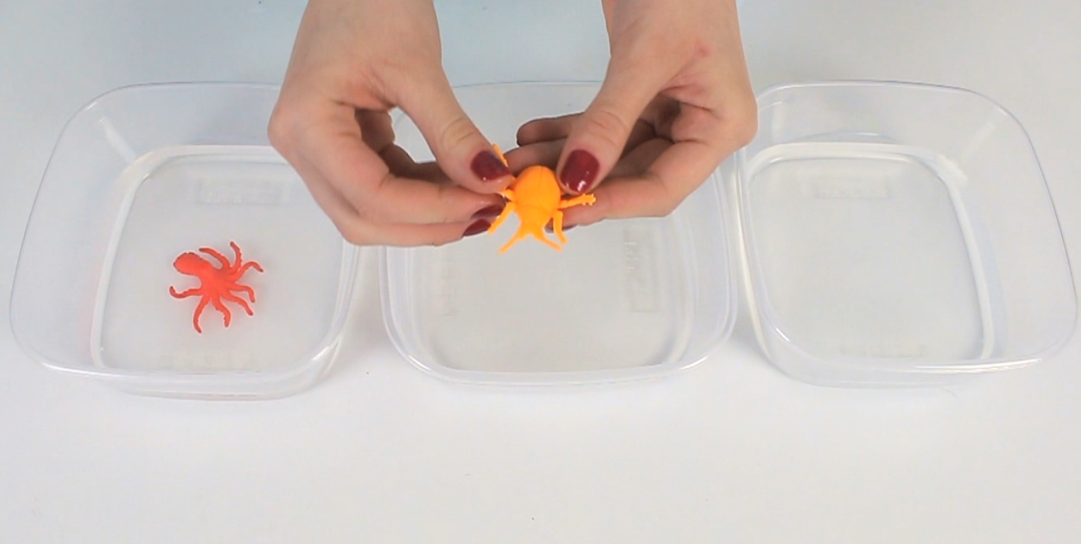 Amazing Diy Experiment | Growing Creatures : 5 Steps - Instructables