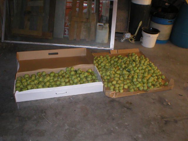 Killer Apple Grinder : 5 Steps - Instructables